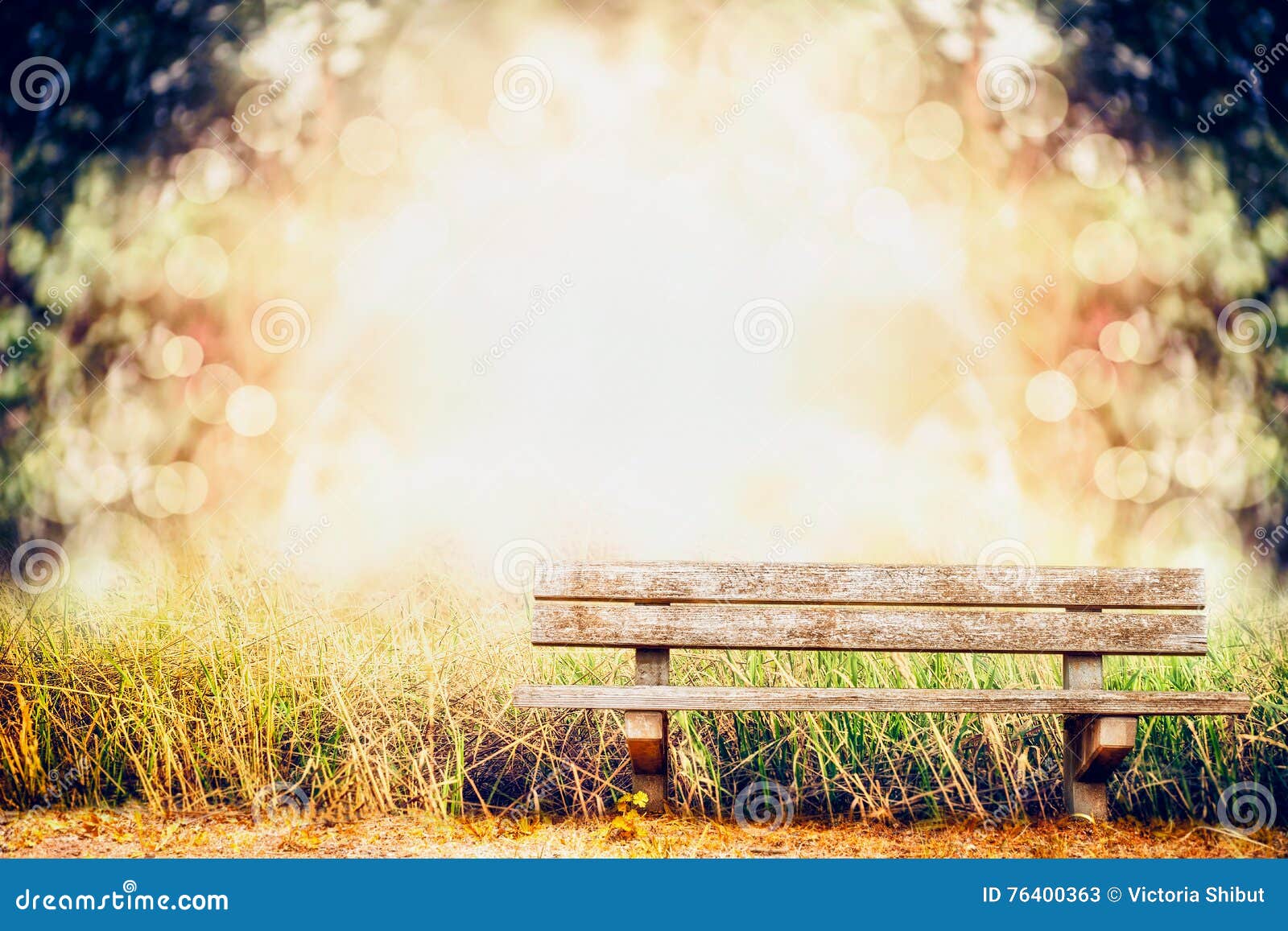 Empty Bench on Autumn or Summer Nature Background Stock Image - Image ...