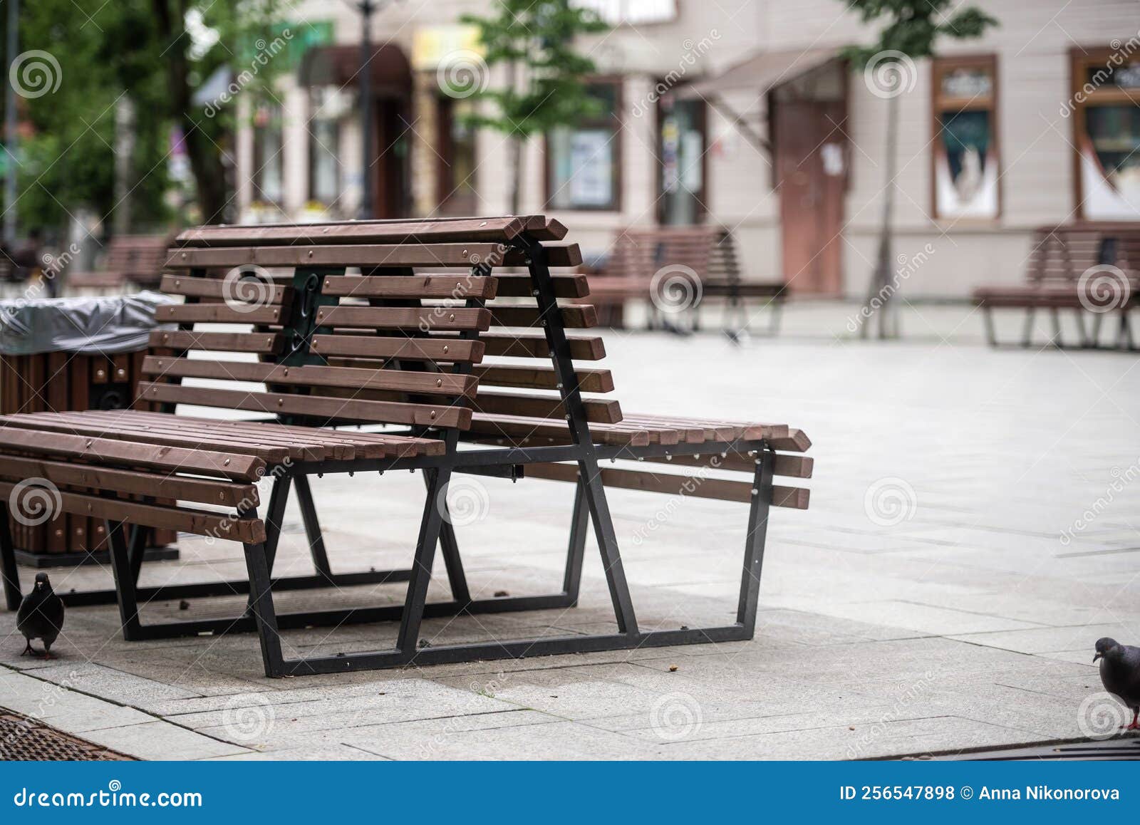 Empty Bench in the City Square, Close-up. Stock Photo - Image of ...