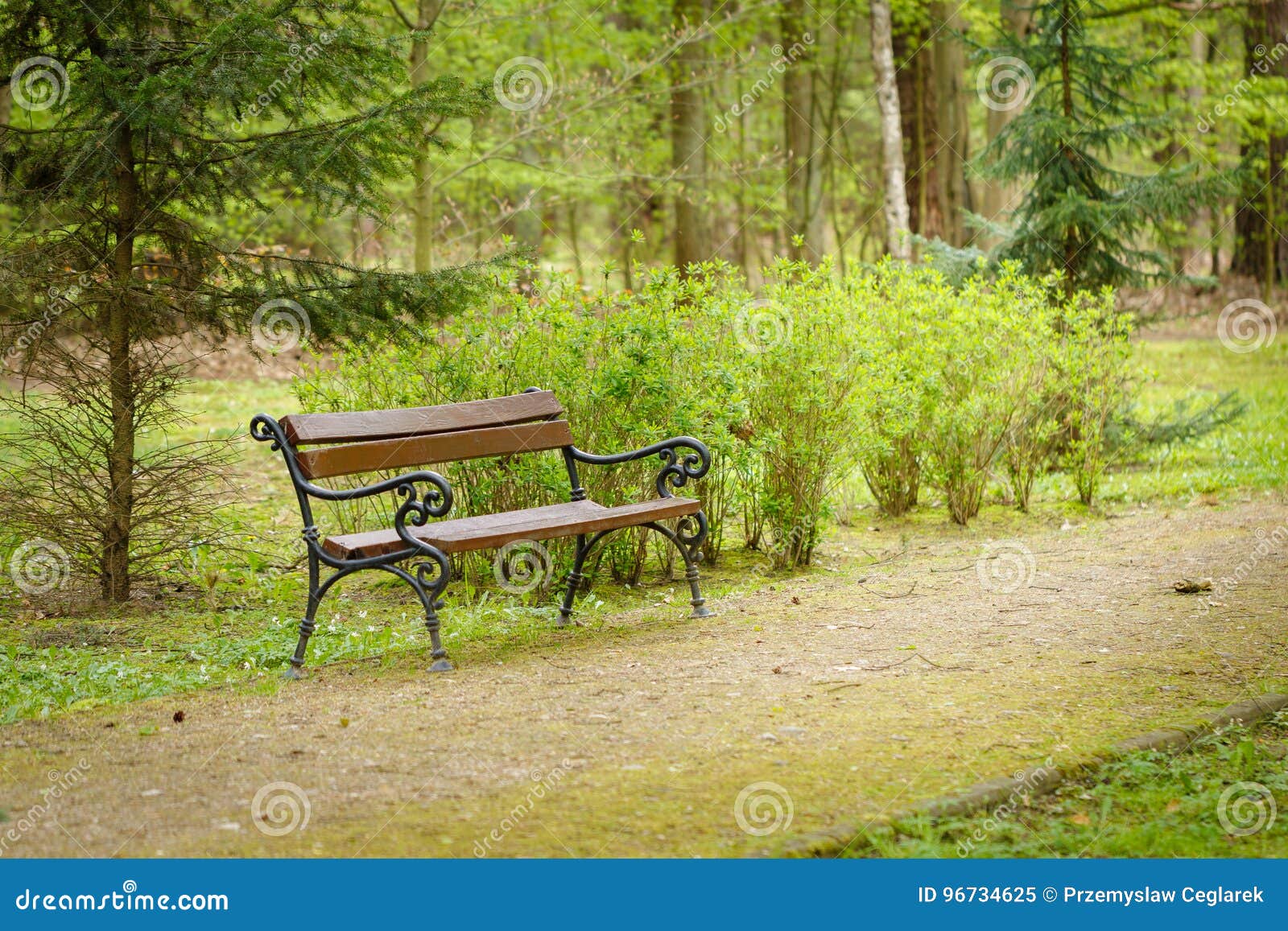 Empty bench stock image. Image of path, nature, green - 96734625