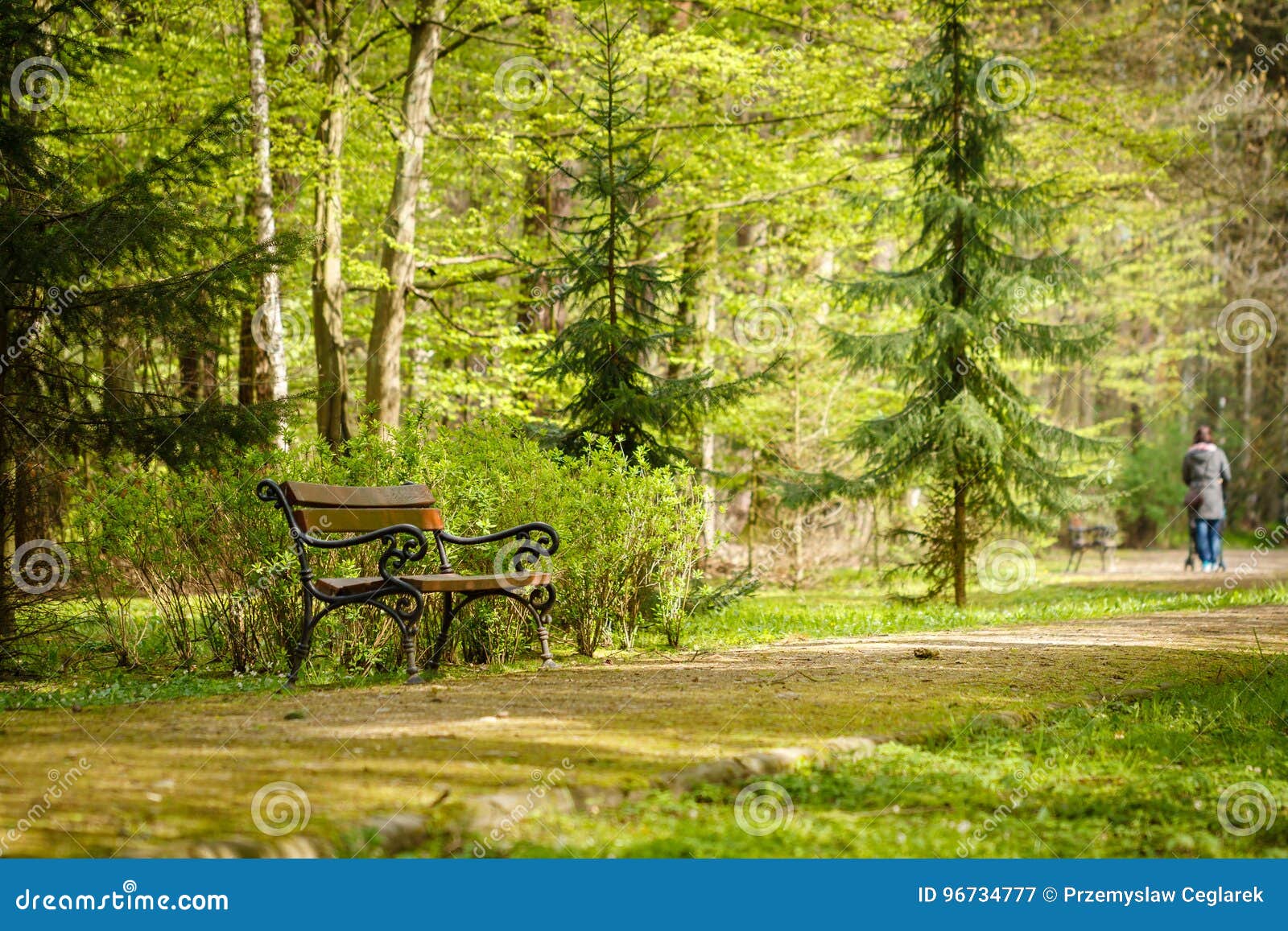 Empty bench on forest path stock image. Image of walking - 96734777