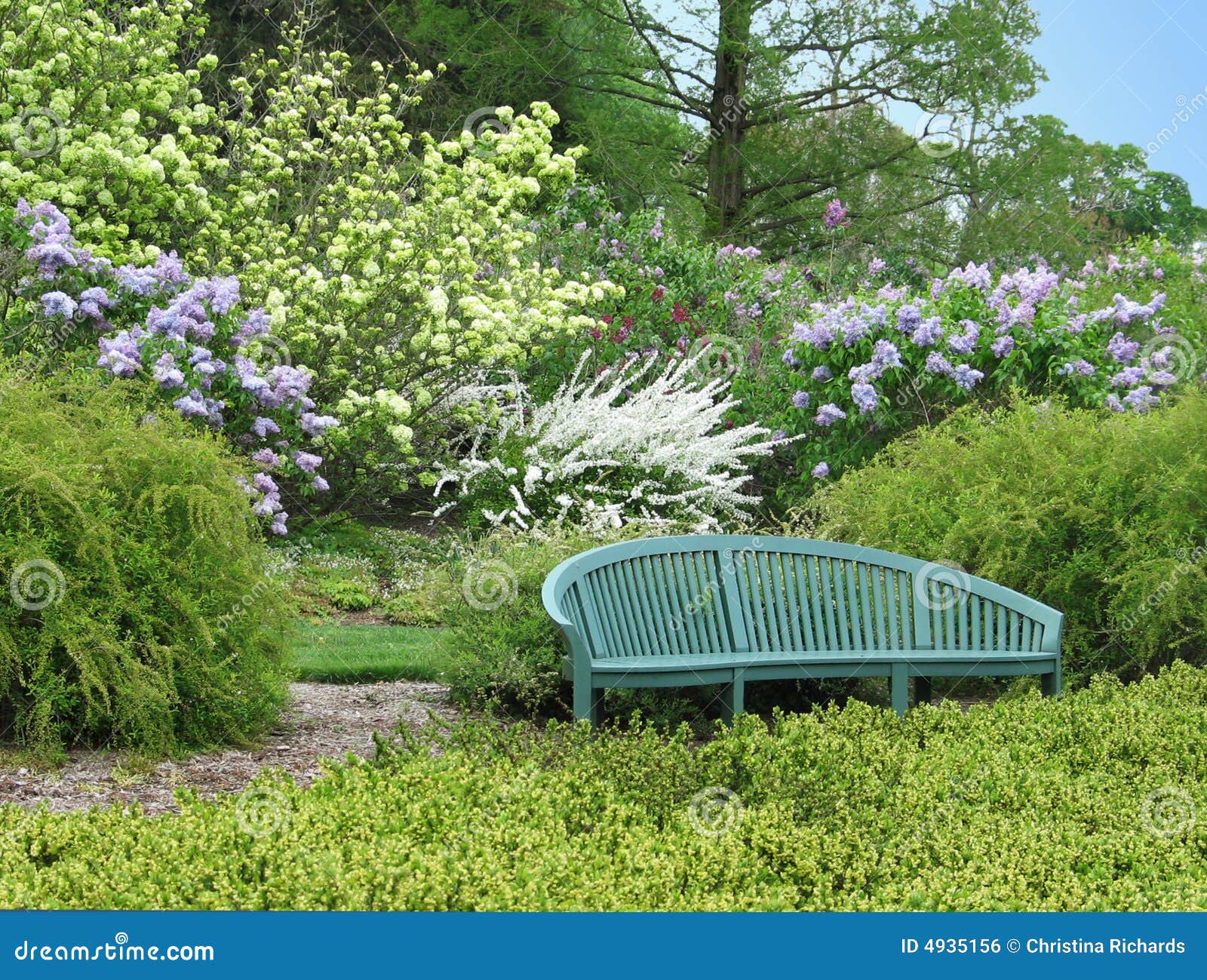 Empty bench in garden stock photo. Image of seat, shrub - 4935156