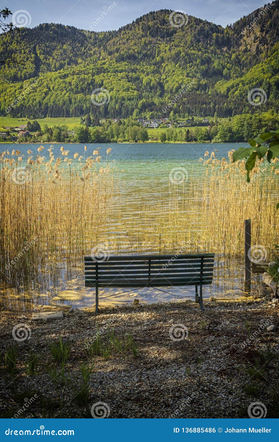 Empty Bench at a Lake on a Sunny Day in Summer Stock Photo - Image of ...