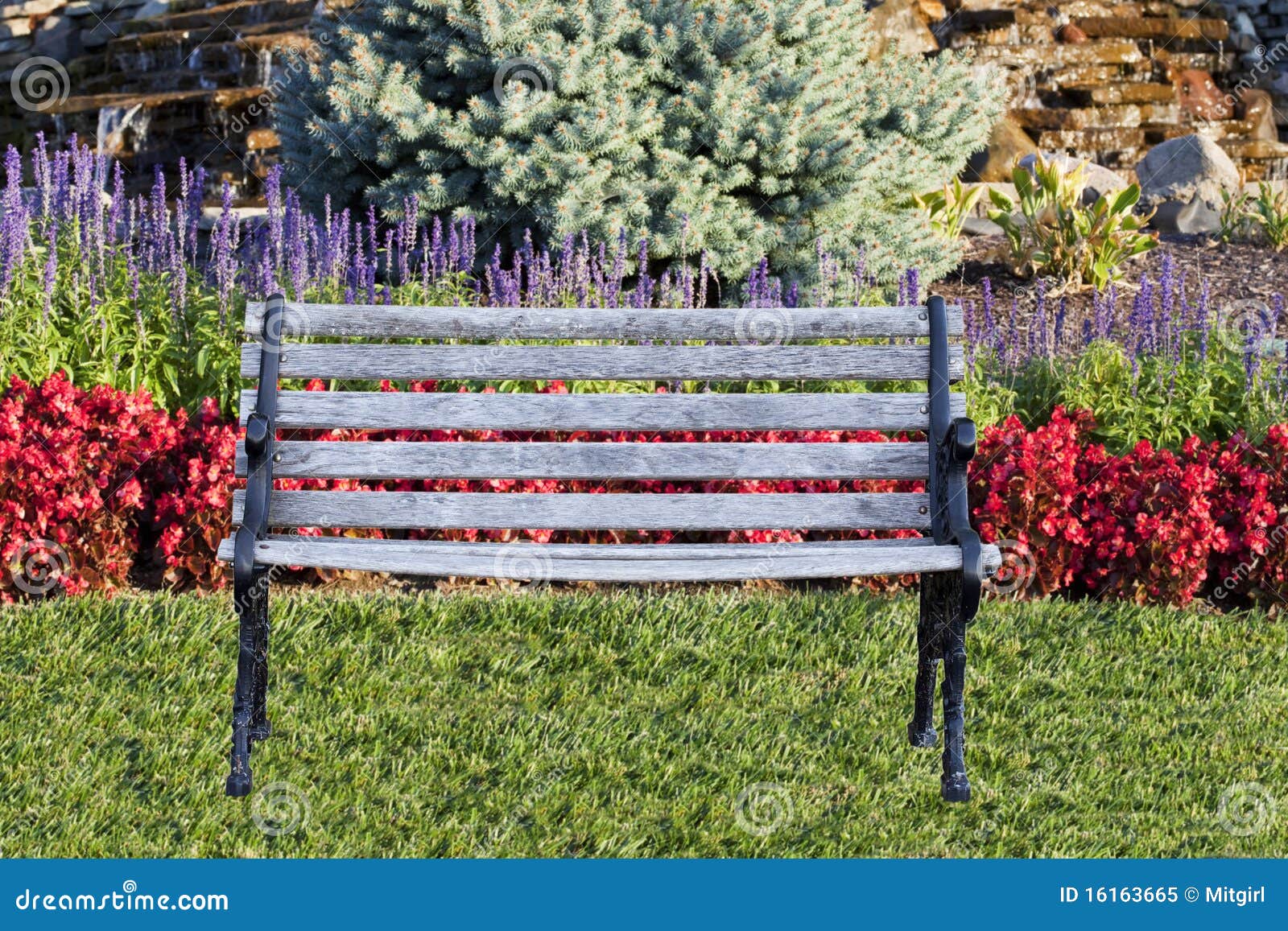 Empty Bench on a Landscaped Green Lawn Stock Image - Image of blossom ...
