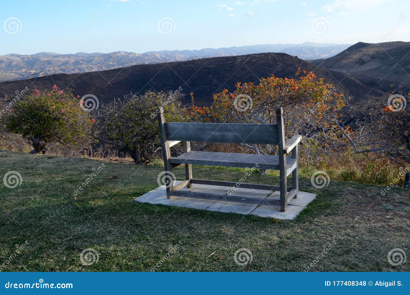 Empty Bench Looking Out Point after Wildfire Stock Photo - Image of ...