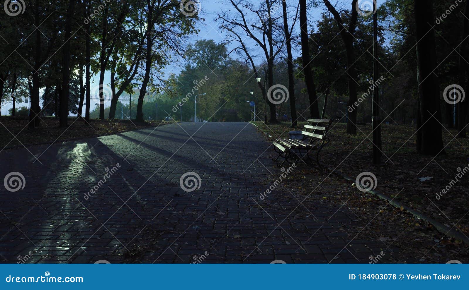 An Empty Bench in a Night Park Stock Photo - Image of peaceful, path ...