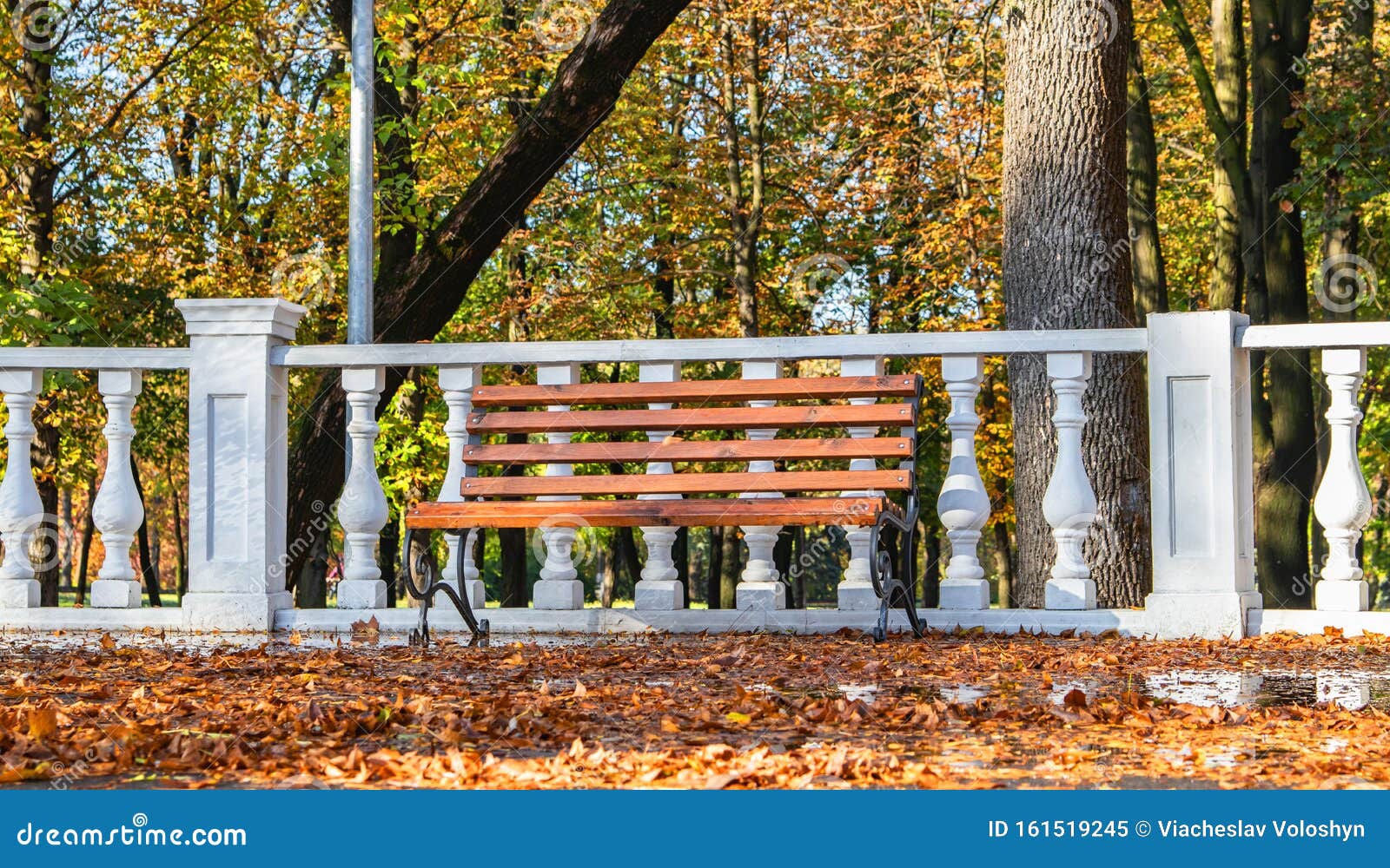 Empty Bench in Park. Autumn in the City Stock Image - Image of ...