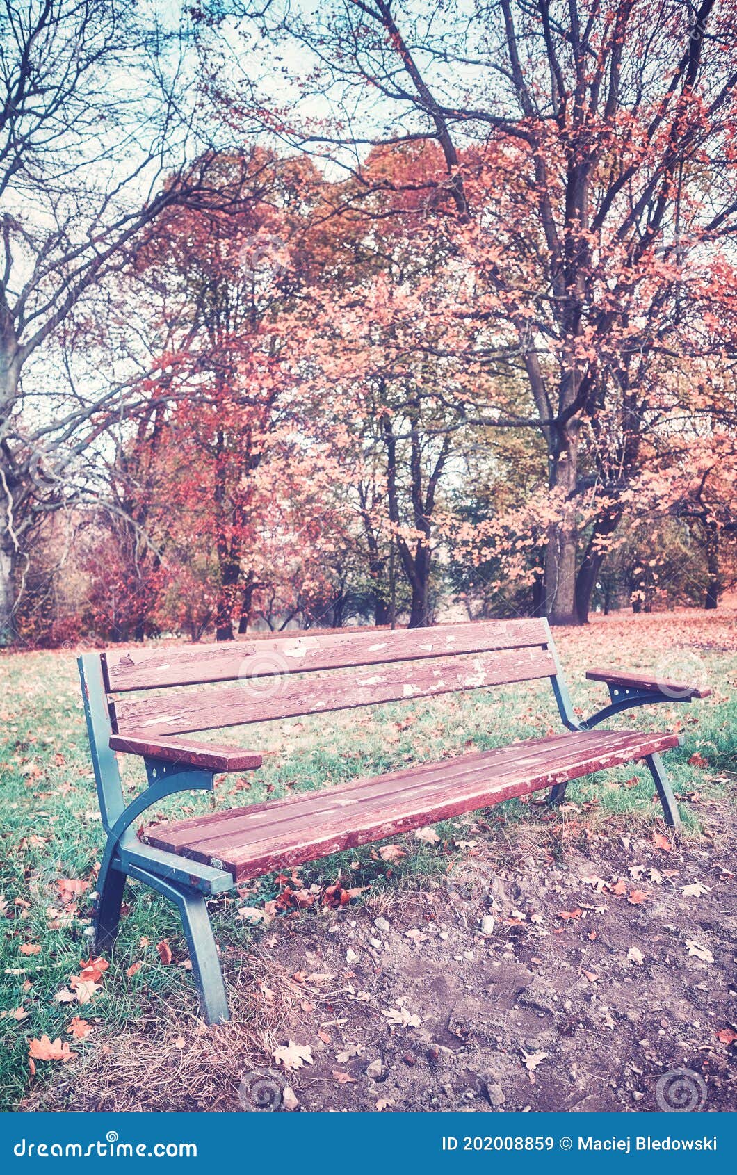 Empty Bench in a Park in Autumn Stock Image - Image of bench, rest ...