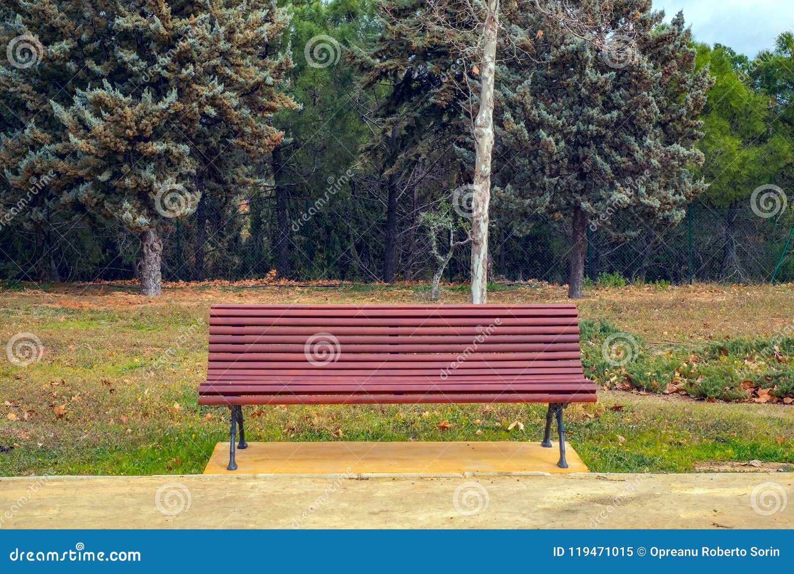 The Empty Bench in the Park Stock Image - Image of natural, nature ...