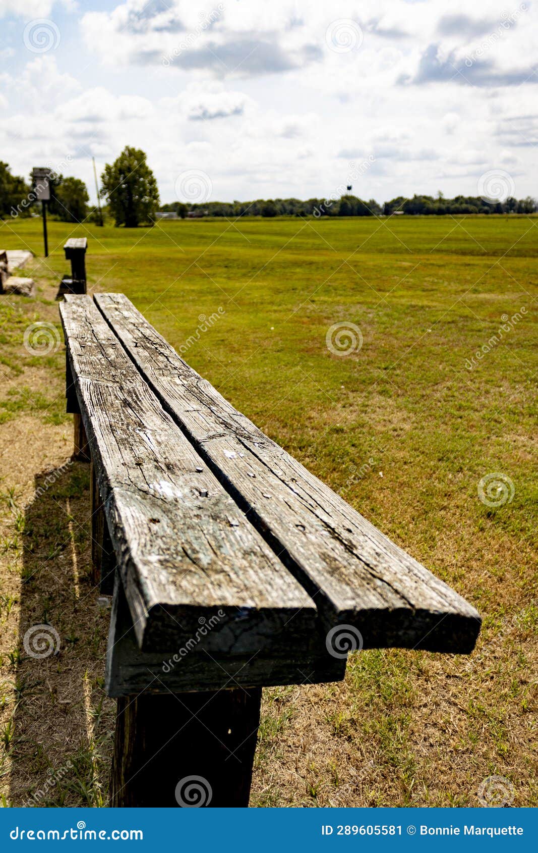 Empty bench at a park. stock image. Image of outdoor - 289605581