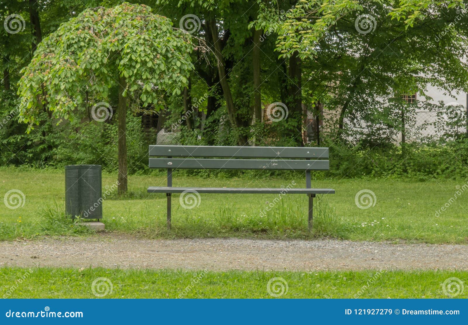 Empty bench in a park stock image. Image of grass, park - 121927279