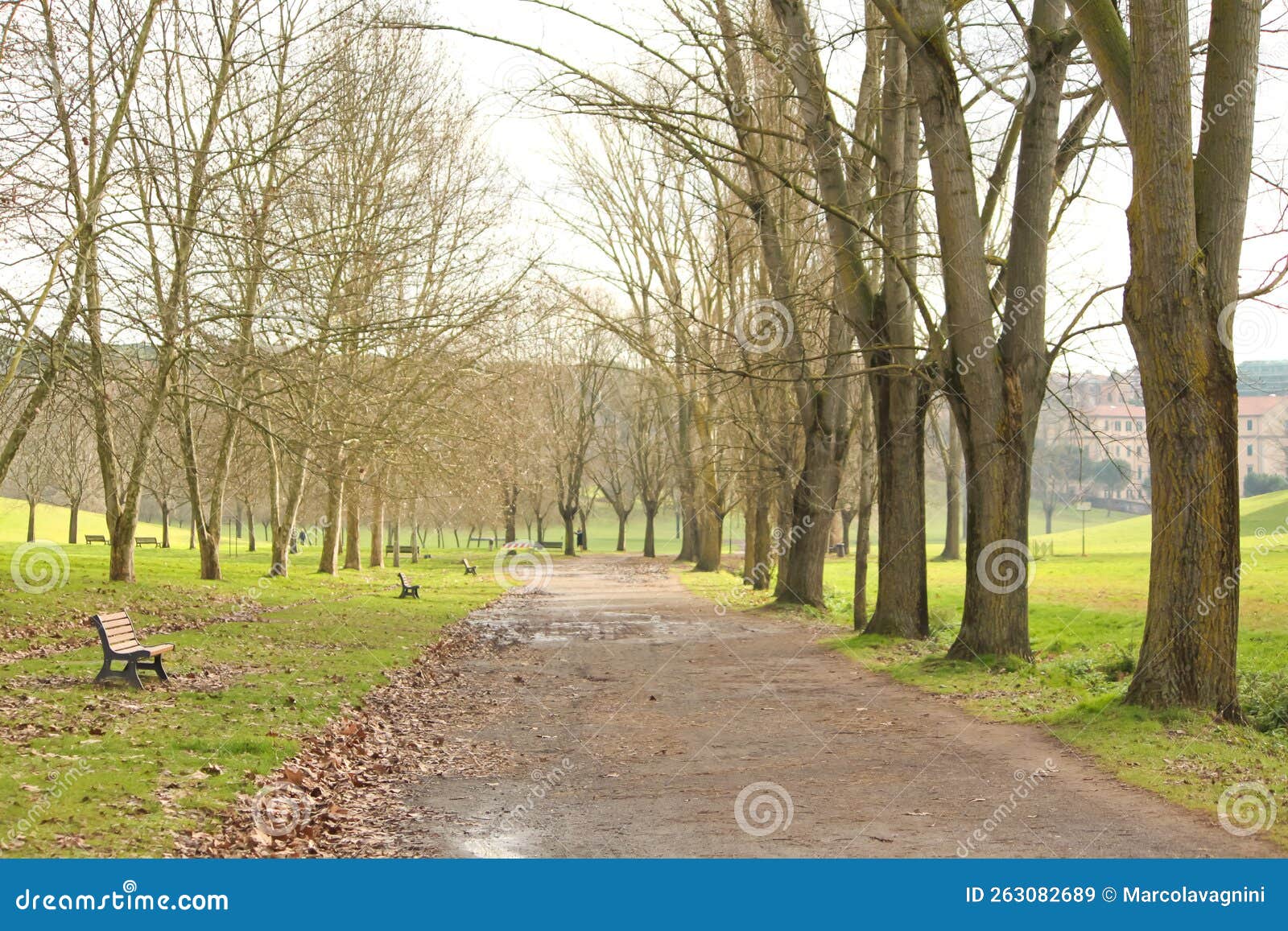 Empty Bench in the Park - Side View Stock Image - Image of natural ...