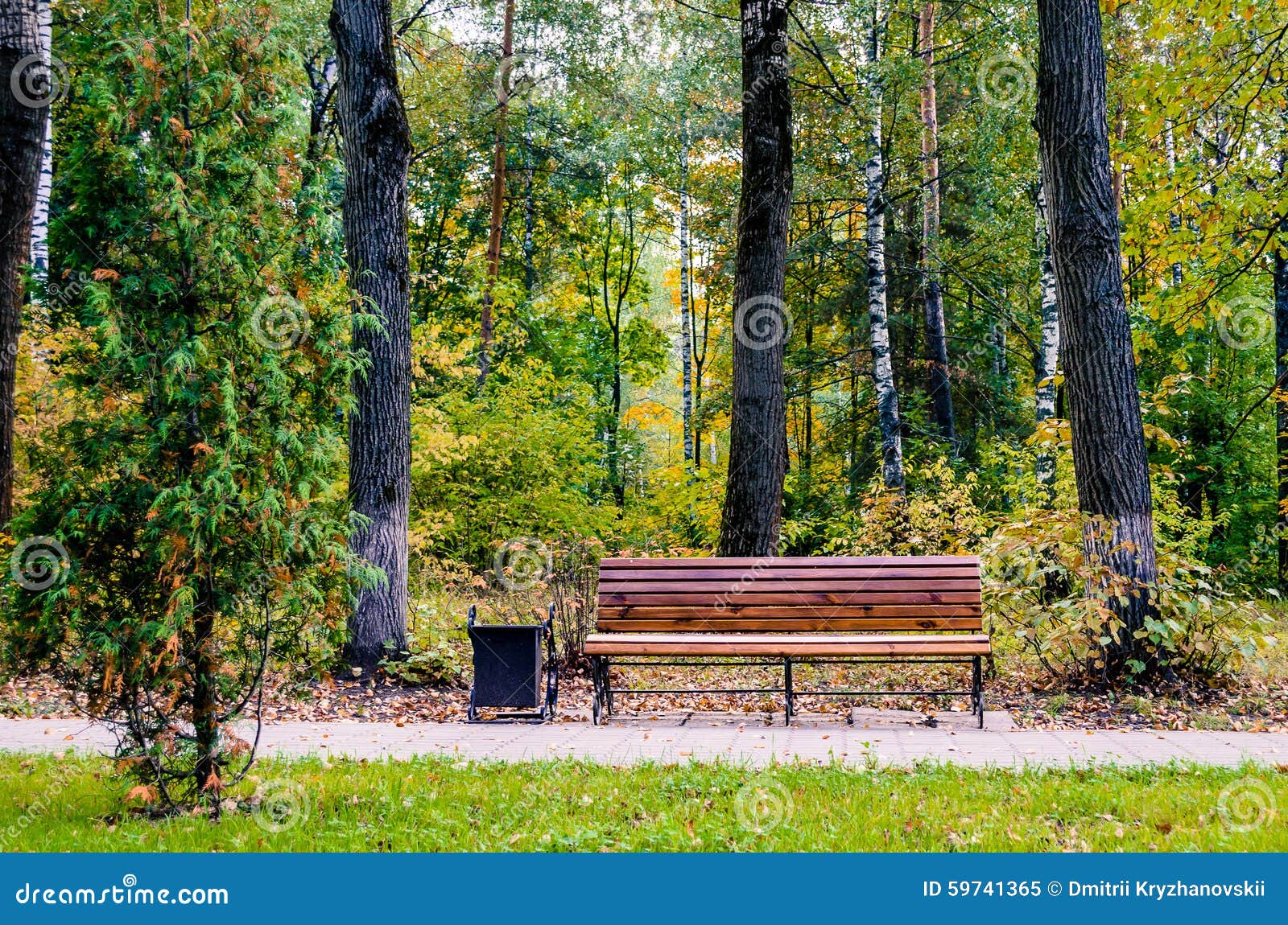 Empty bench in park stock image. Image of tranquil, foliage - 59741365