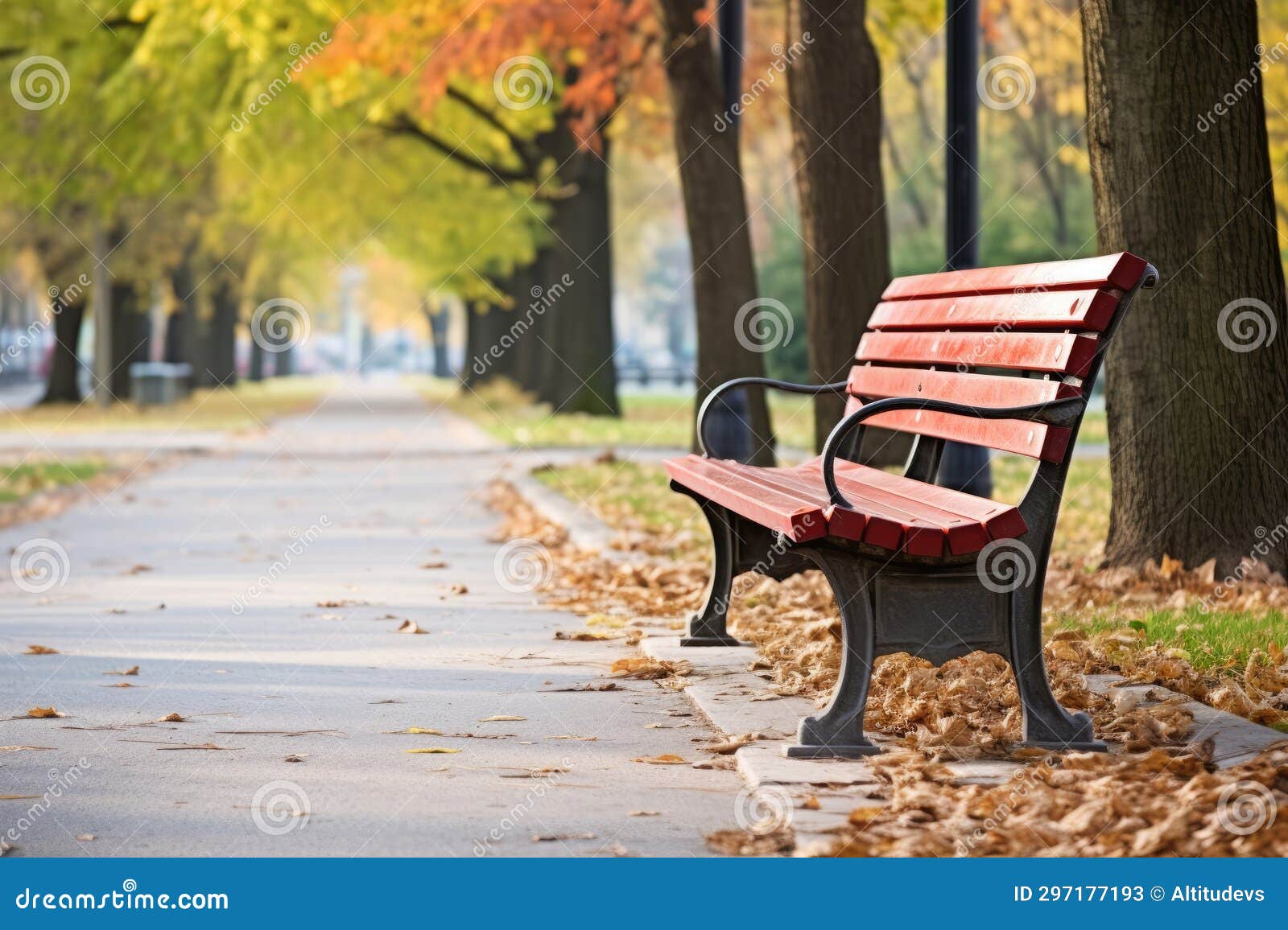 An Empty Bench on a Public Park Sidewalk Stock Image - Image of ...