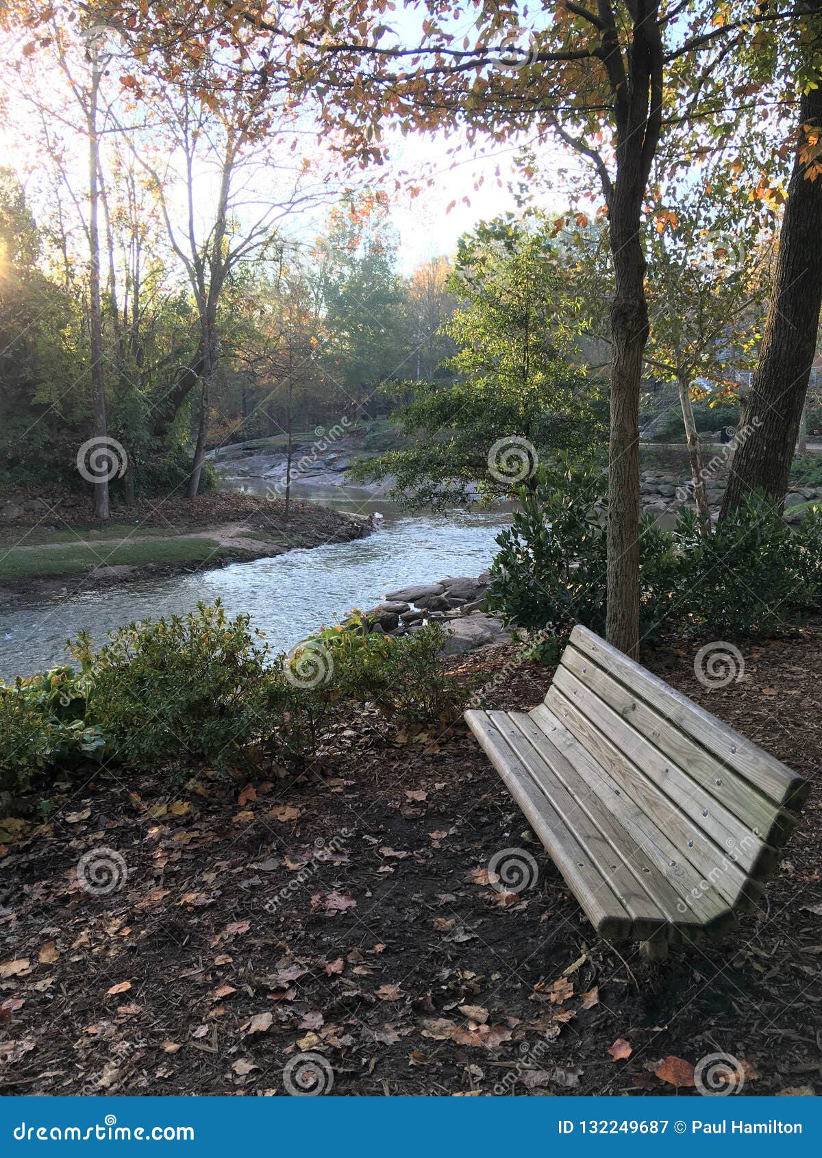 An Empty Bench by the River To Sit in Peace Stock Image - Image of ...