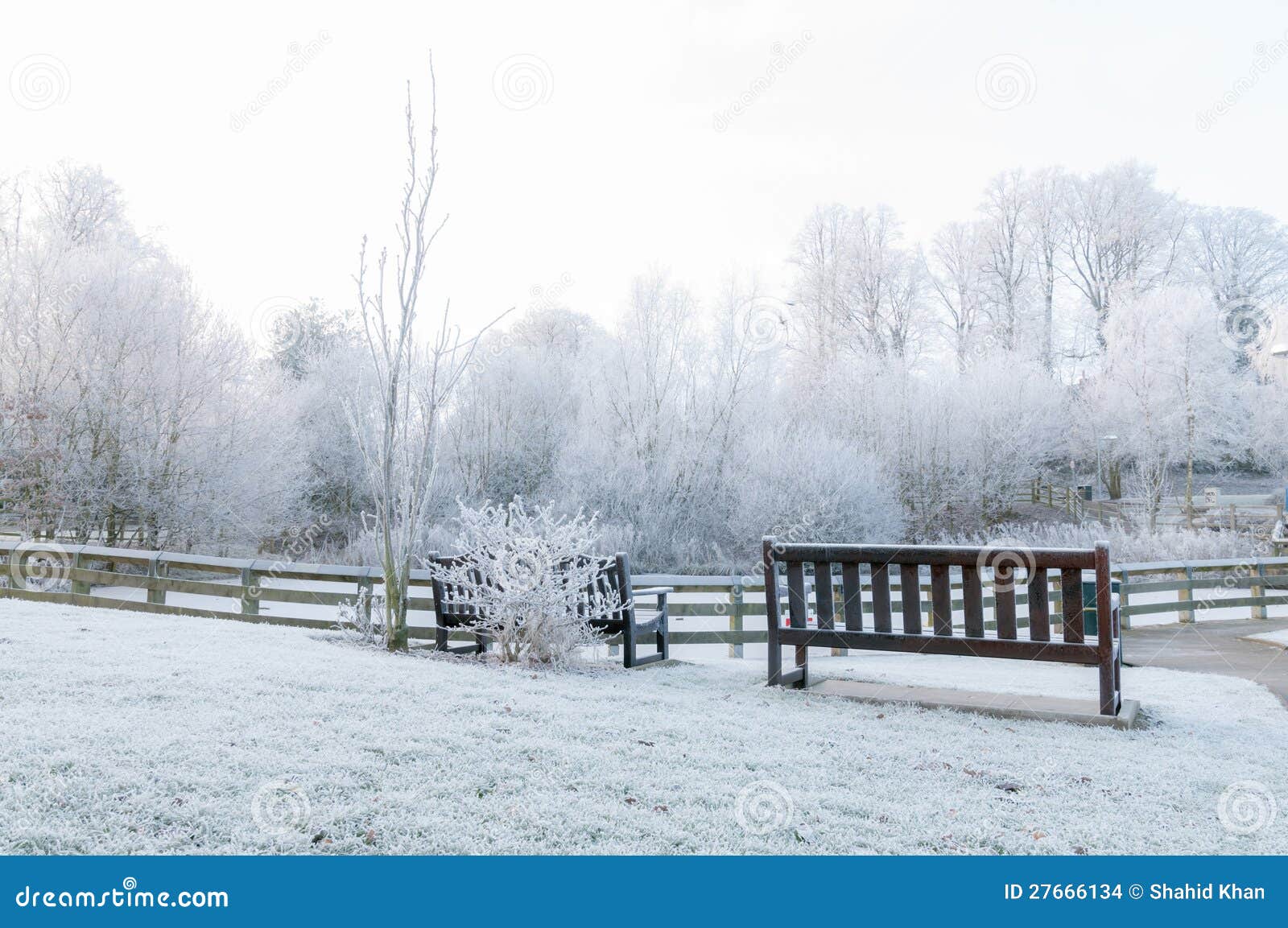Empty bench in snow stock photo. Image of outdoor, frost - 27666134