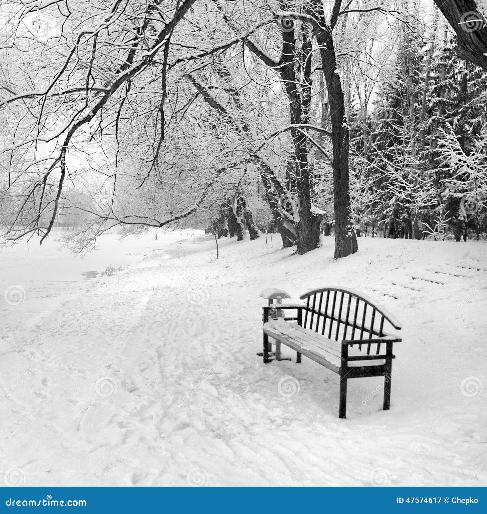 An Empty Bench in a Snowy Winter Forest Stock Image - Image of ...