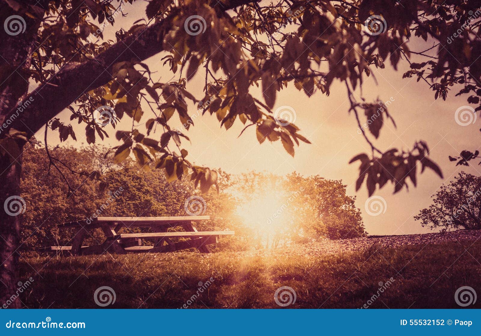 Empty bench at sunset stock photo. Image of park, empty - 55532152