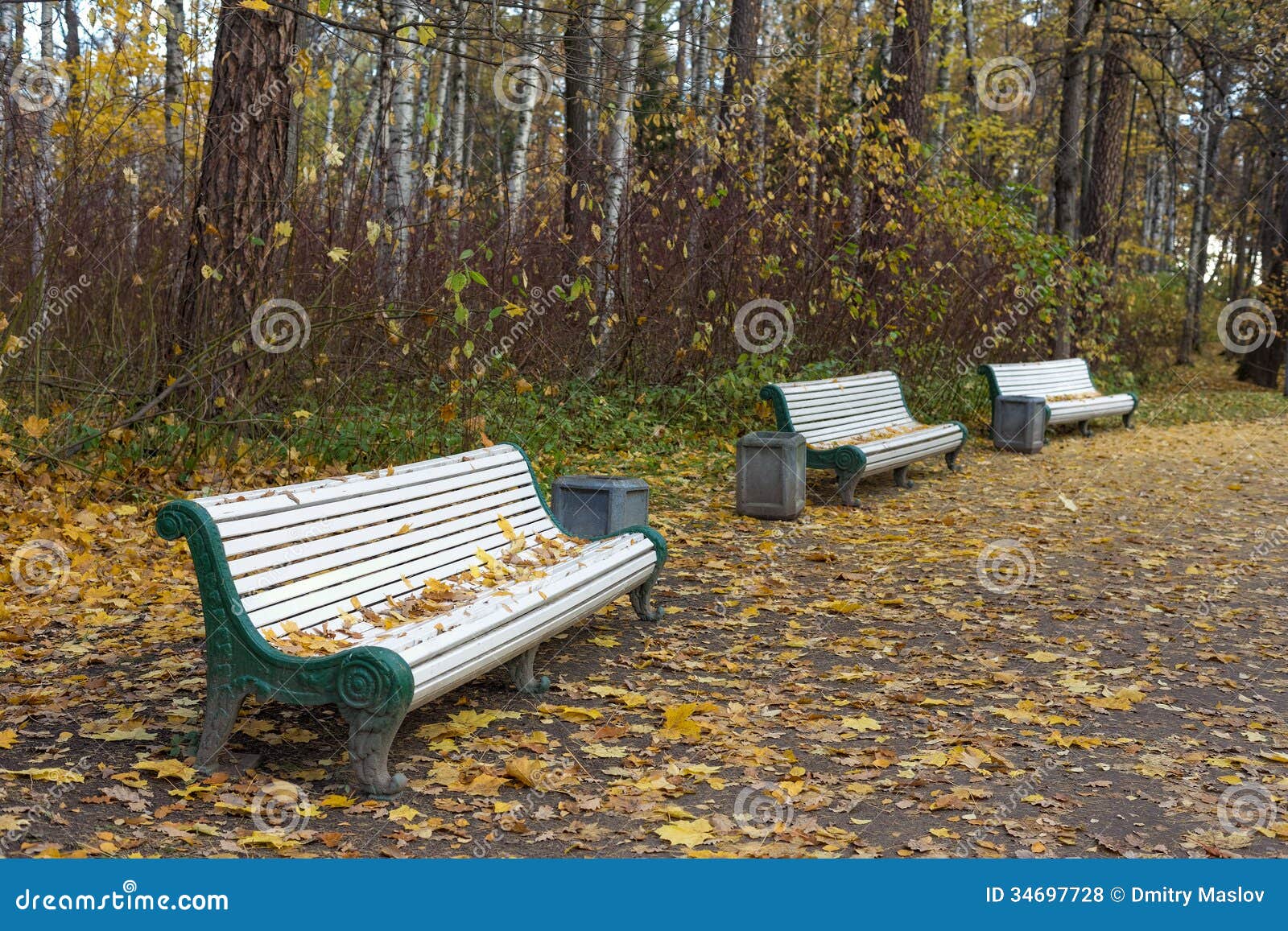 Empty Benches in Autumn Park Stock Photo - Image of woods, seat: 34697728