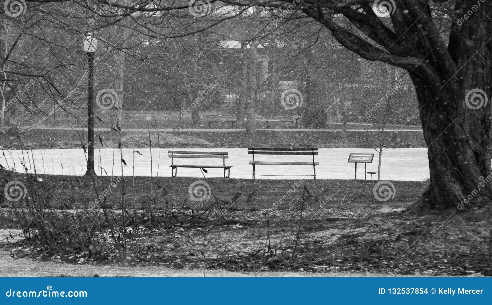 Empty Path and Benches in Public Gardens during Snow Flurry with Pond ...