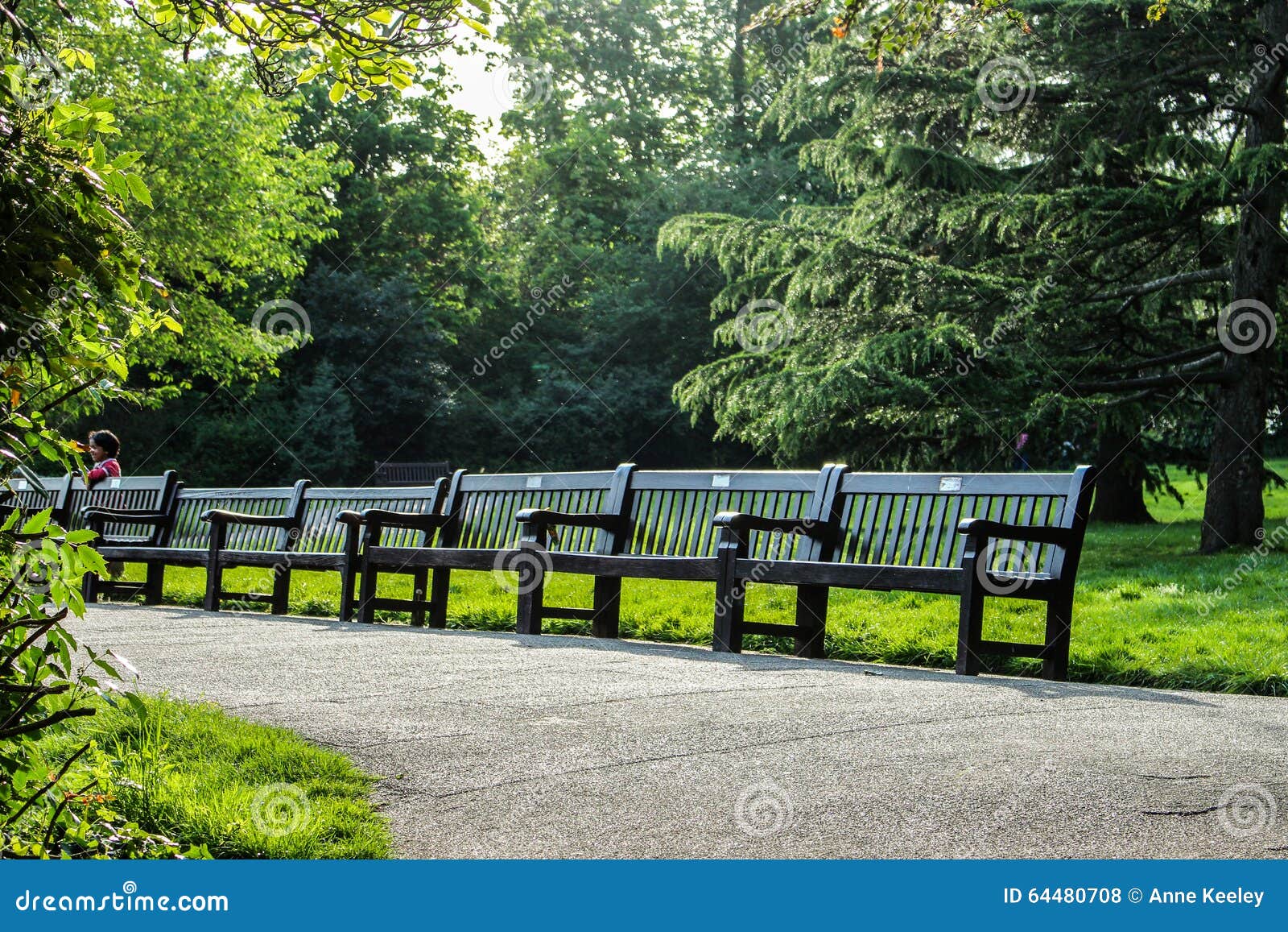 Empty benches stock photo. Image of benches, london, park - 64480708