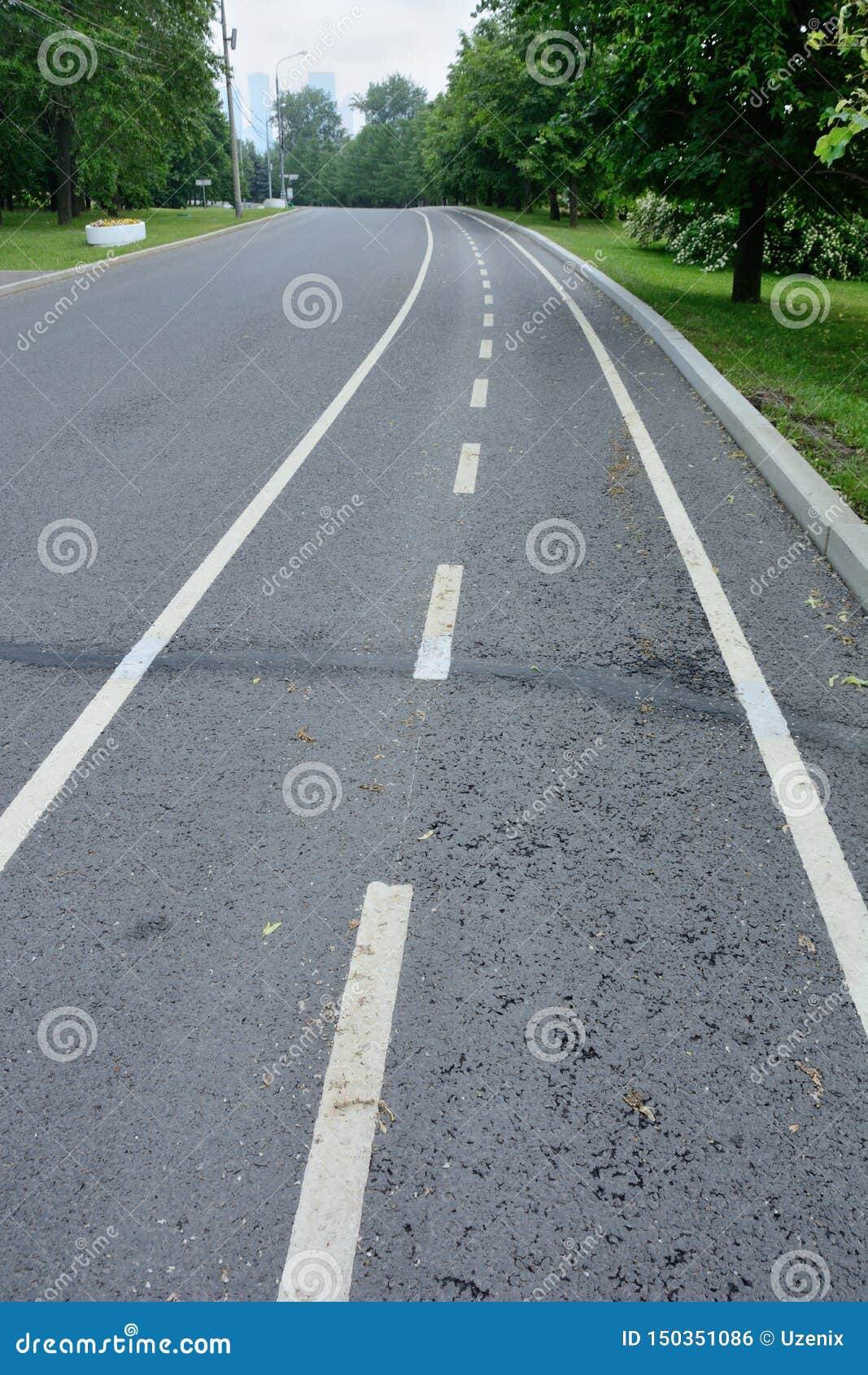 Empty Bicycle Path in the Park Leaving Afar Stock Photo - Image of ...