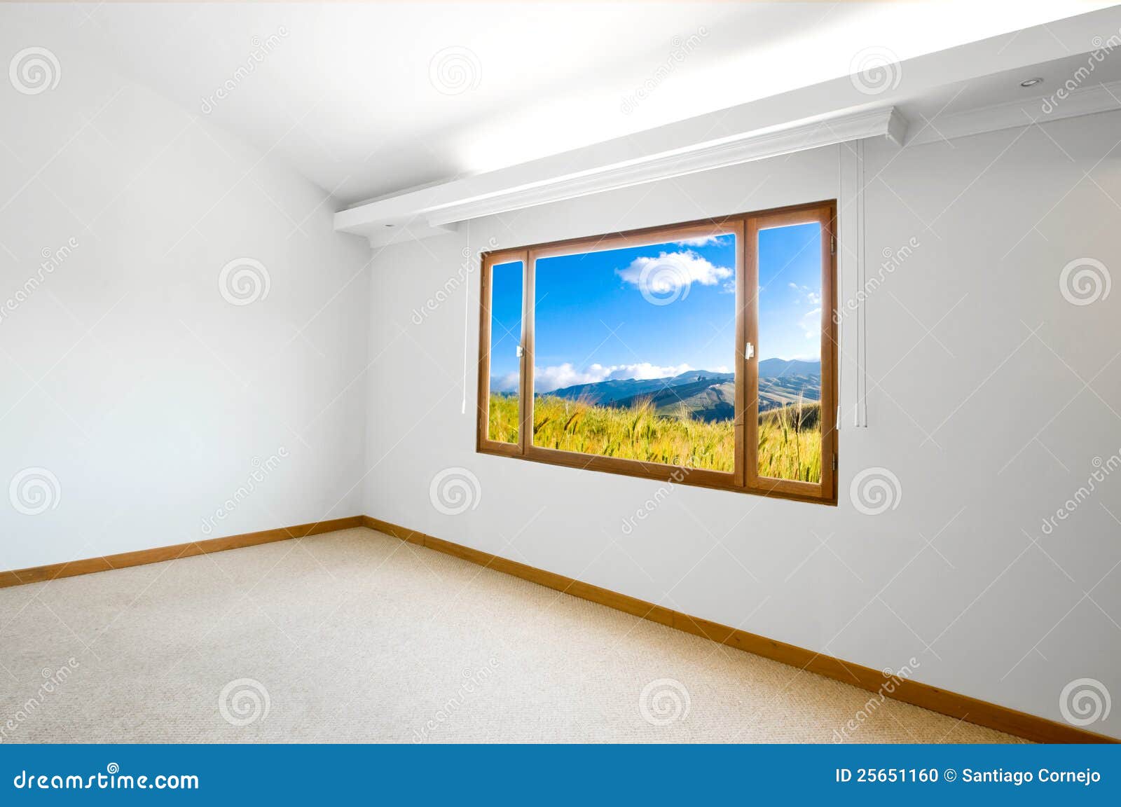 Empty Big Room with a Beautiful Landscape View Stock Photo - Image of ...