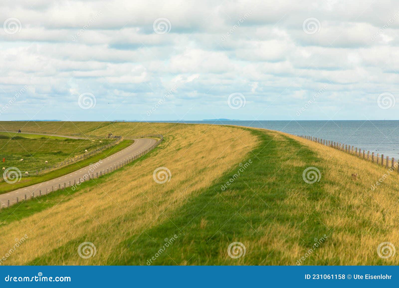 An Empty Bike Path Alongside a with Cumulus Clouds in the Background ...