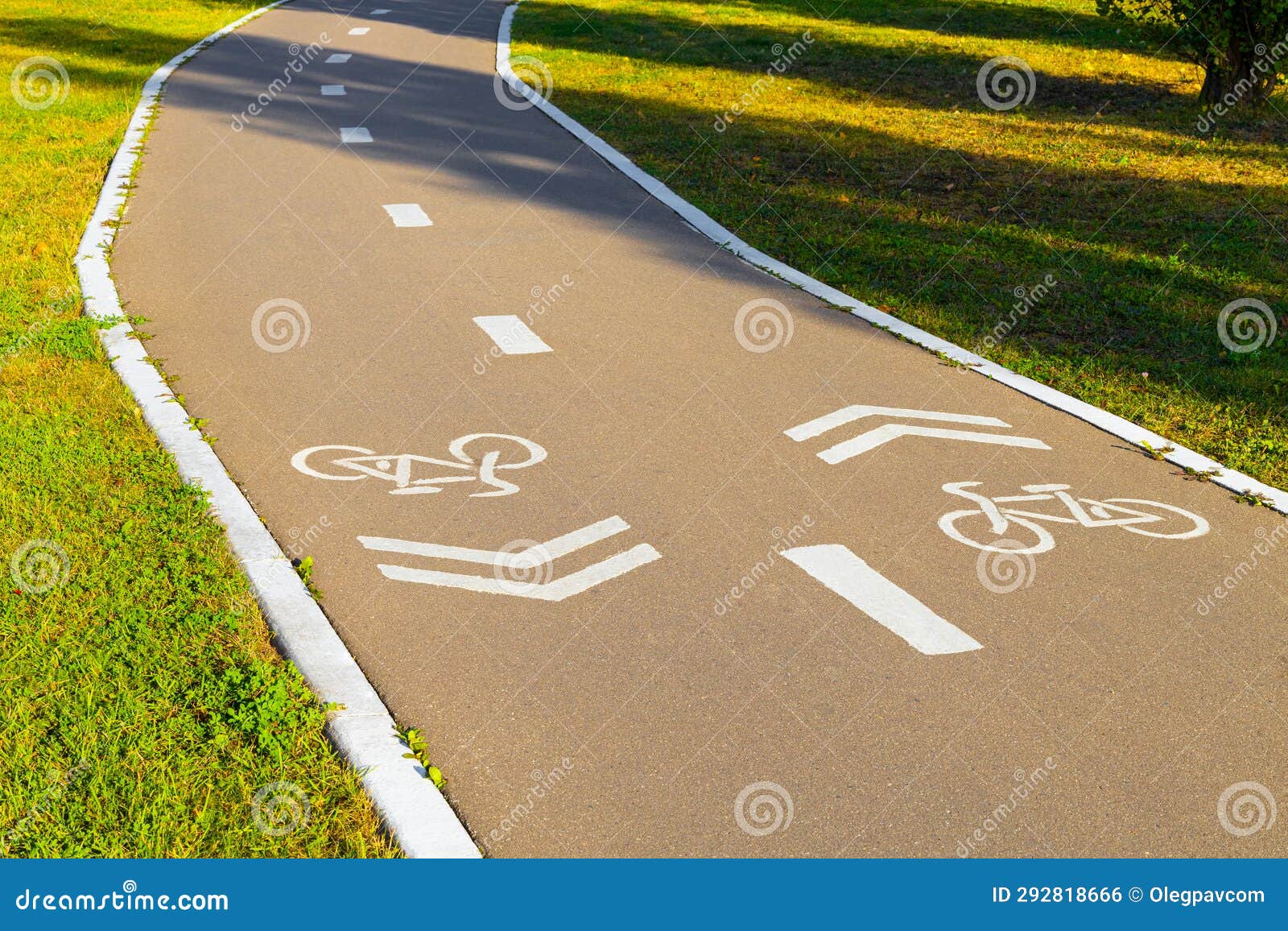 Empty Bike Path with Markings in the Park. Stock Photo - Image of ...