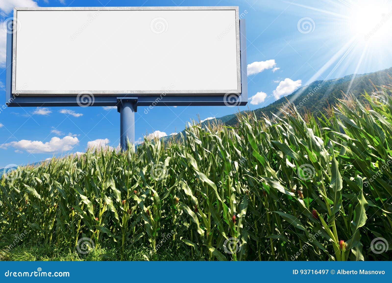 Empty Billboard in a Corn Field Stock Image - Image of advertising ...