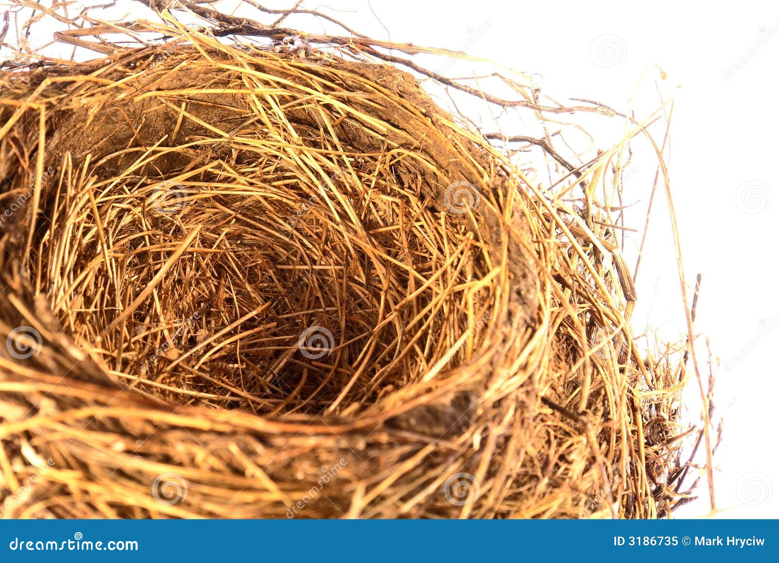 Empty Bird Nest stock image. Image of flown, robin, empty - 3186735