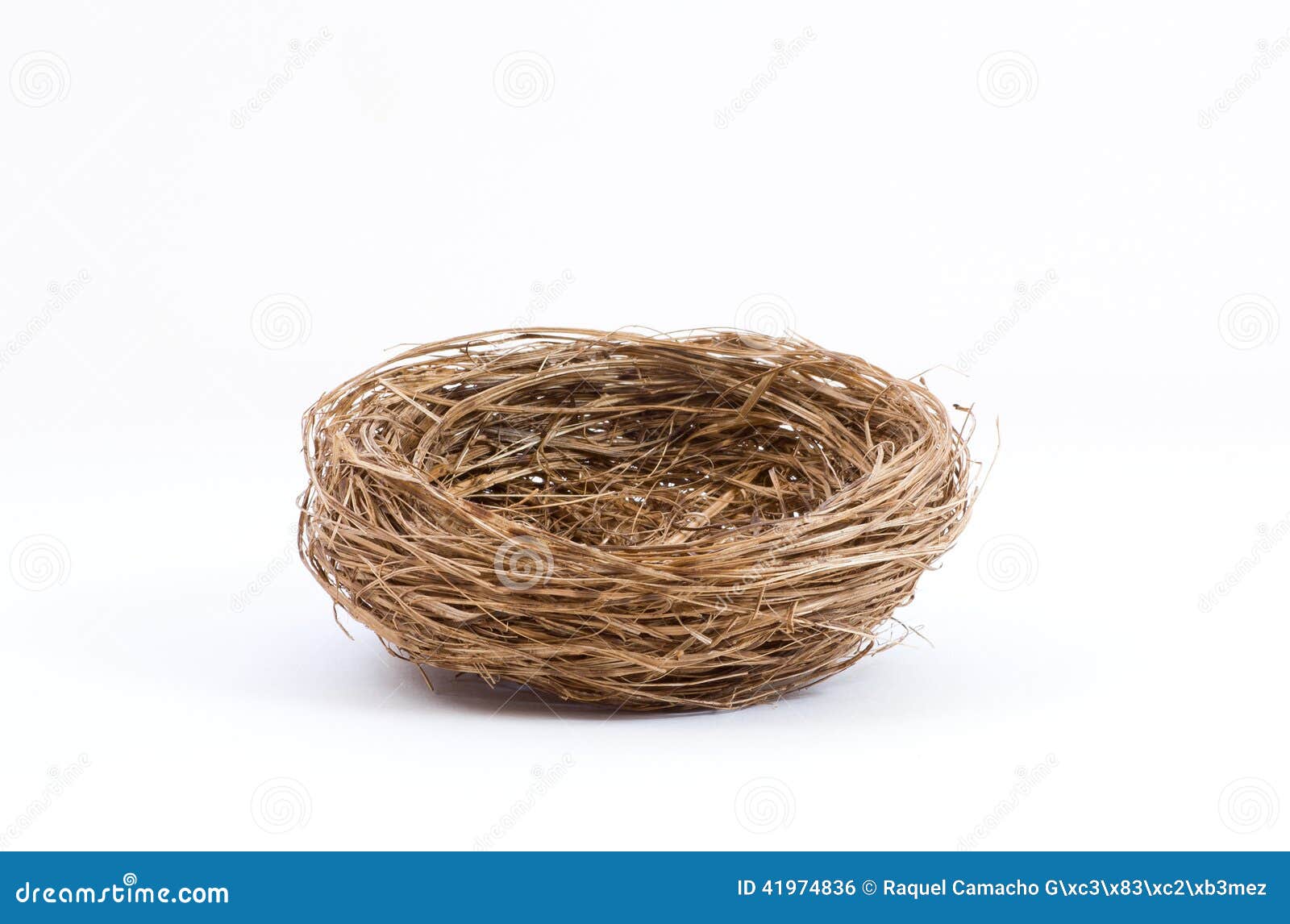 Empty Bird Nest on White Background Stock Photo - Image of horizontal ...