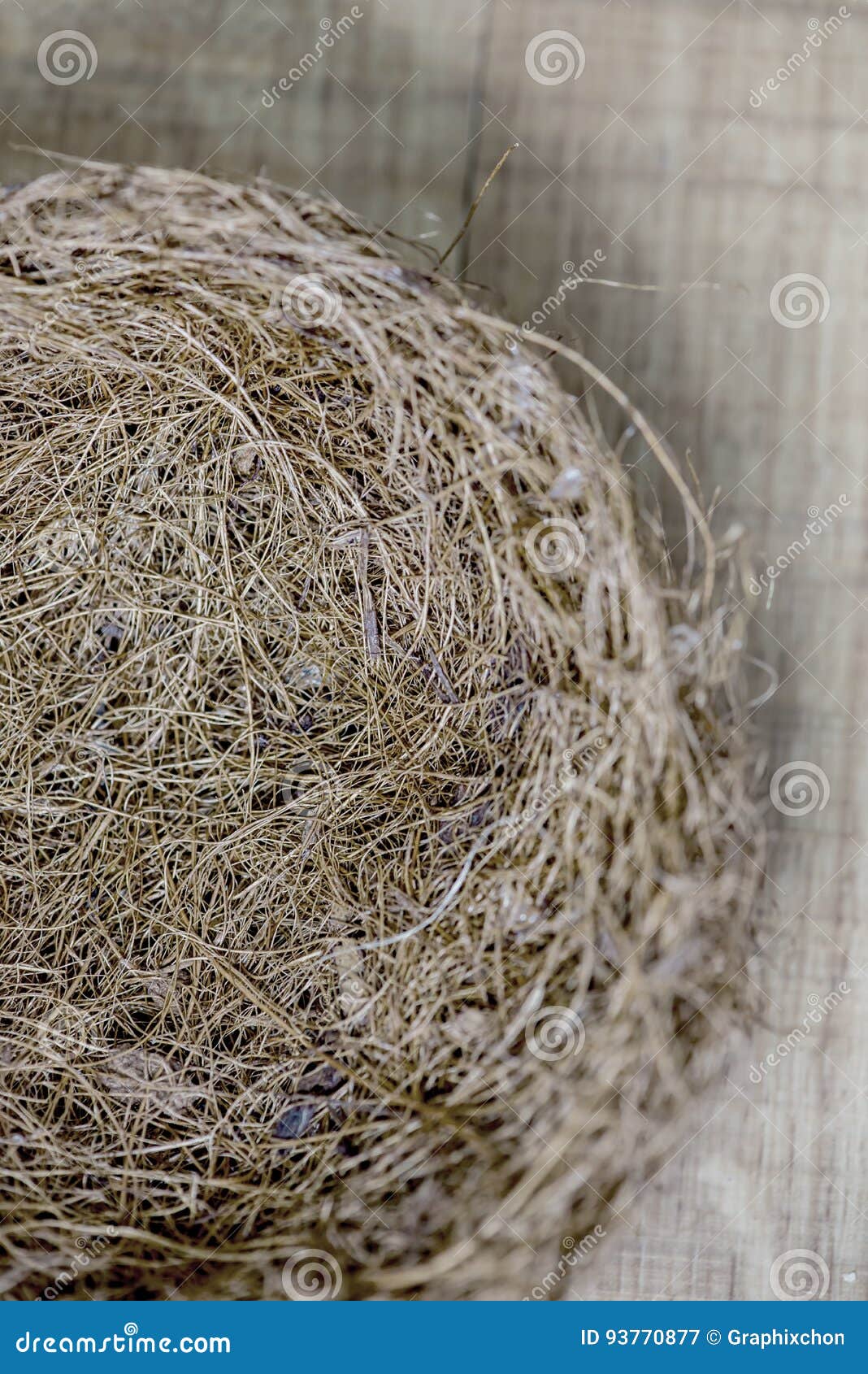 Empty bird nest stock image. Image of extured, shape - 93770877