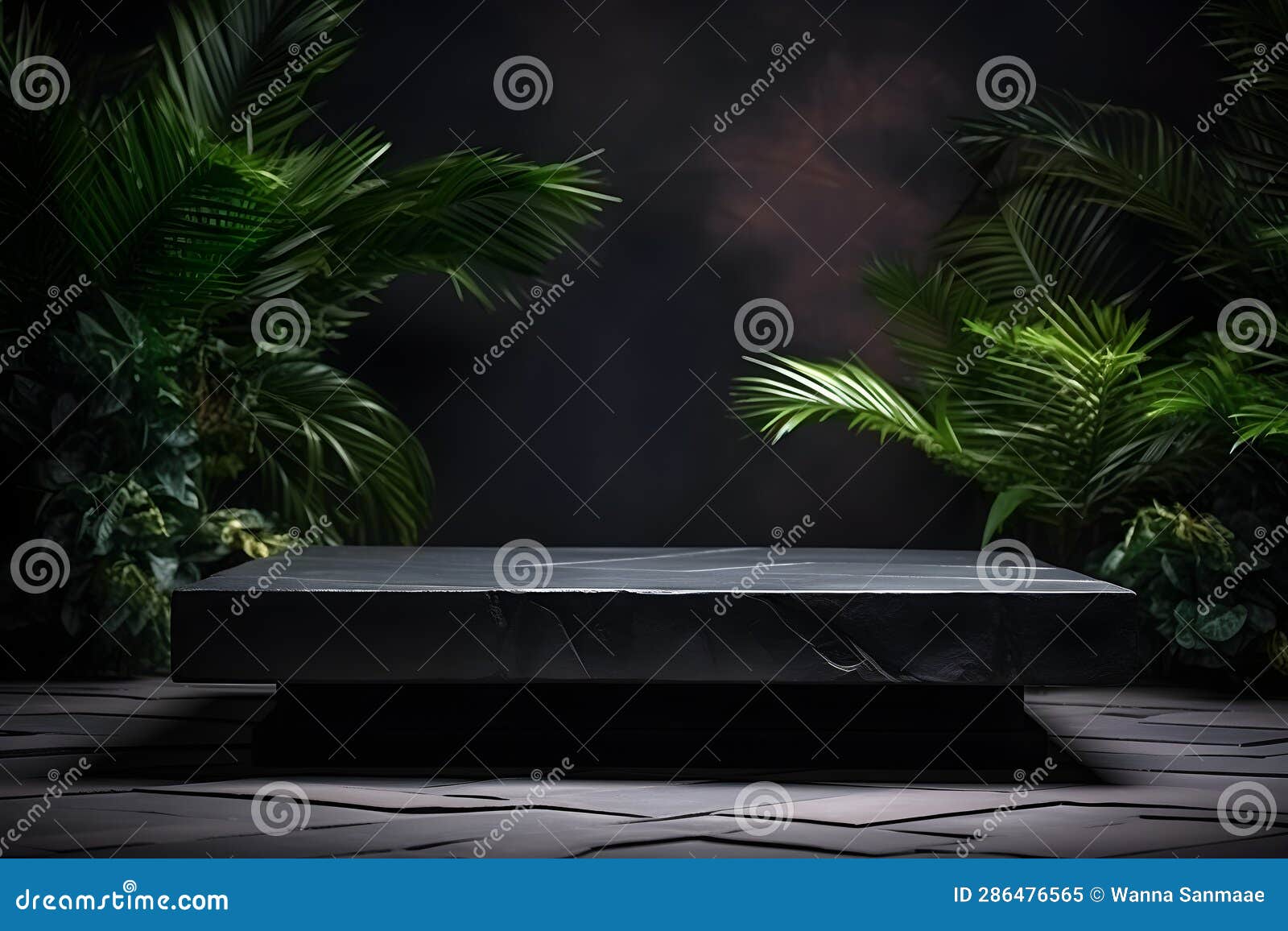 Empty Black Stone Platform with Tropical Plants on Dark Background ...