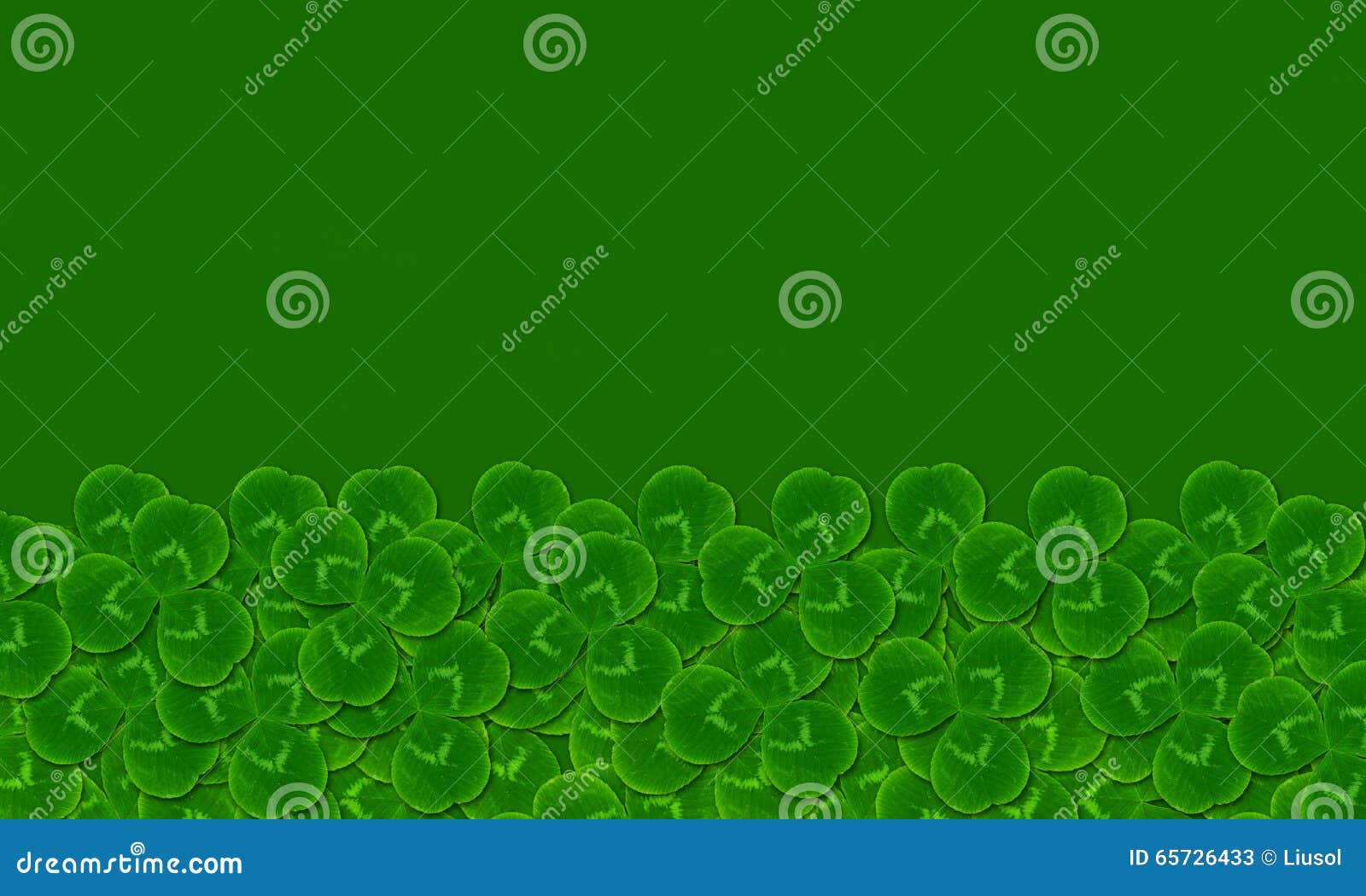 Empty Blank Card Leaves Clover Trefoil Stock Image - Image of natural ...