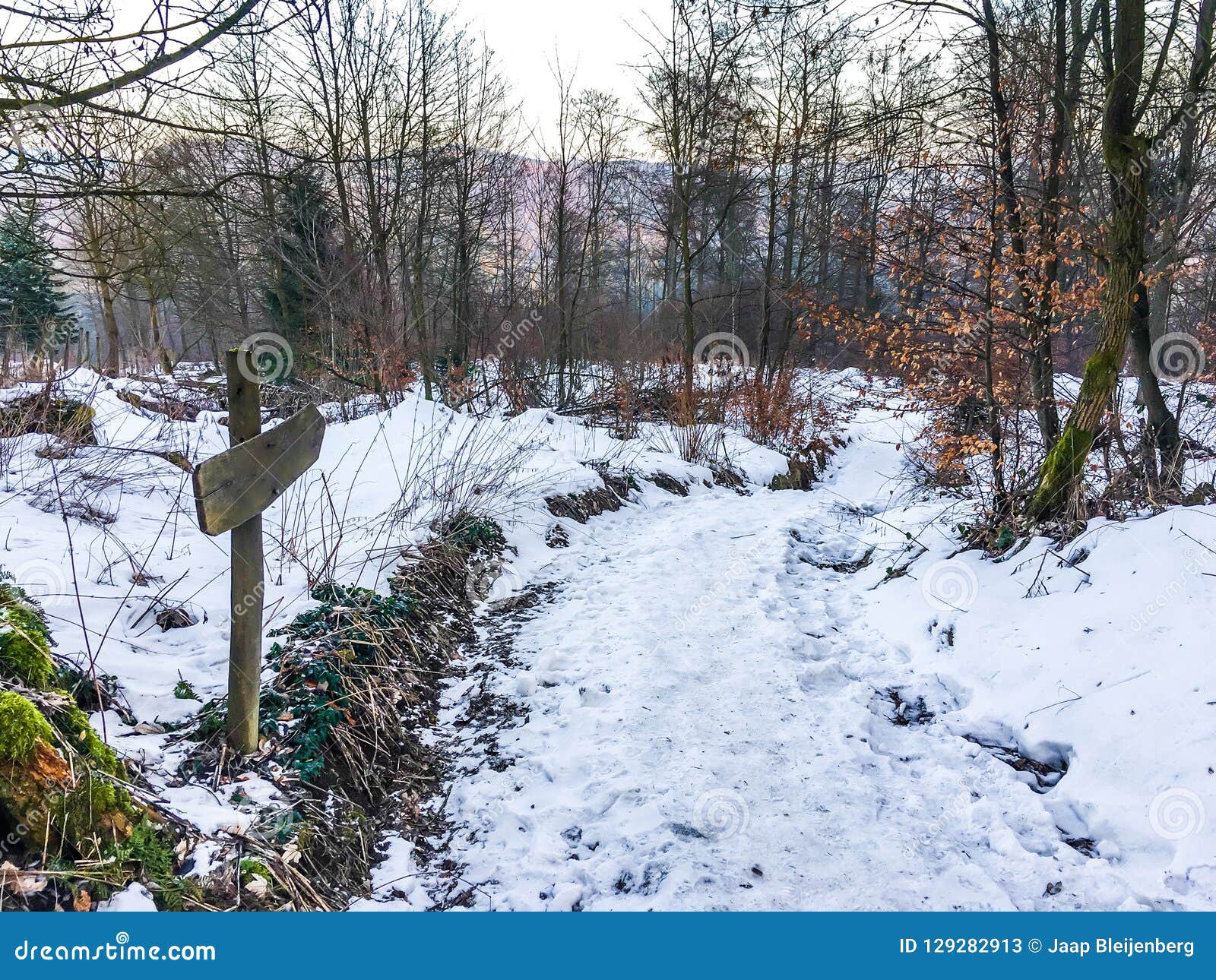 Empty Blank Direction Sign at a Snowy Walking Road Path in a Forest ...