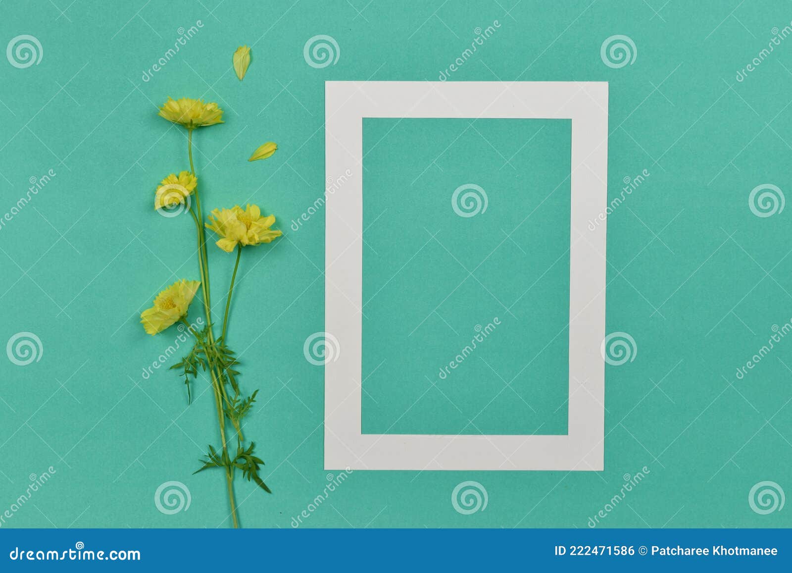 Empty Blank Photo Paper Frame with Yellow Flower Stock Photo - Image of ...