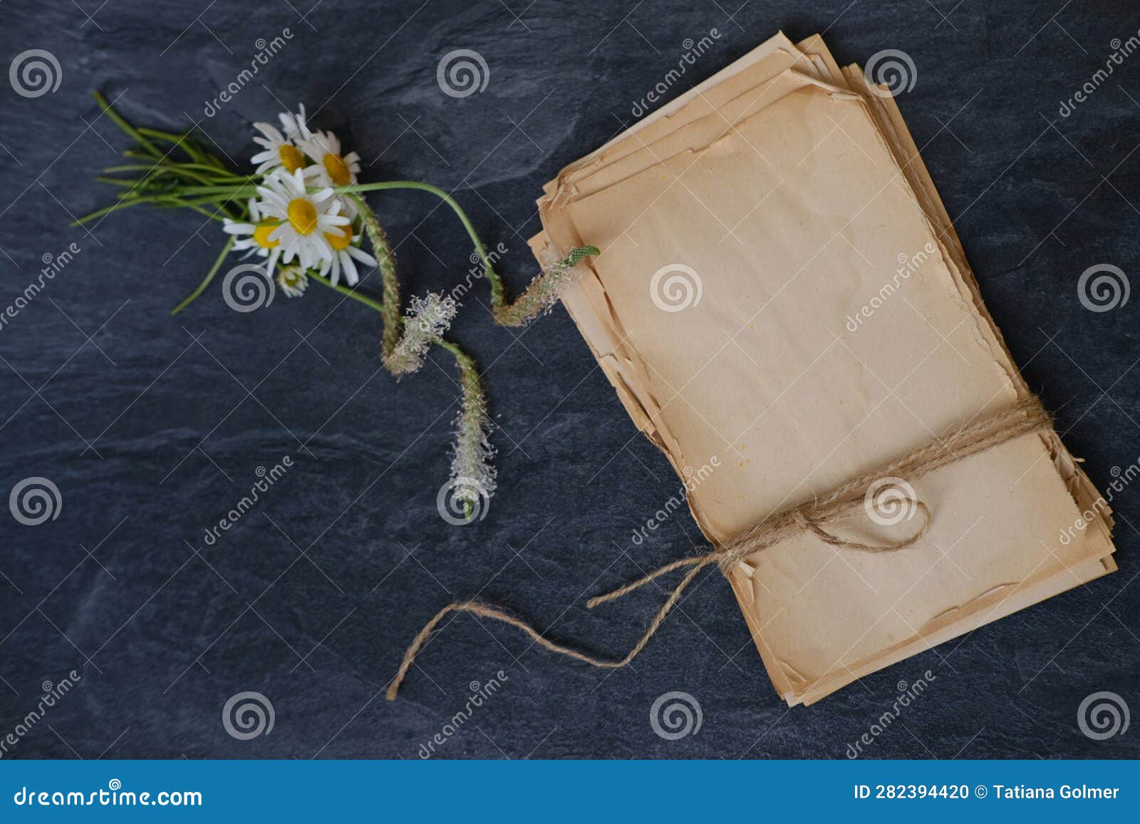 Empty Blank Space, Stack of Old Paper Torn Off Edges for Message ...