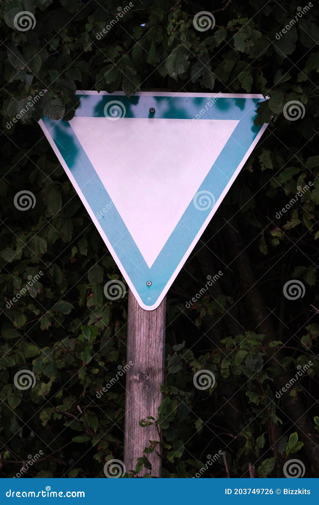 Empty Blank Triangular Green and White Sign in Nature Stock Photo ...