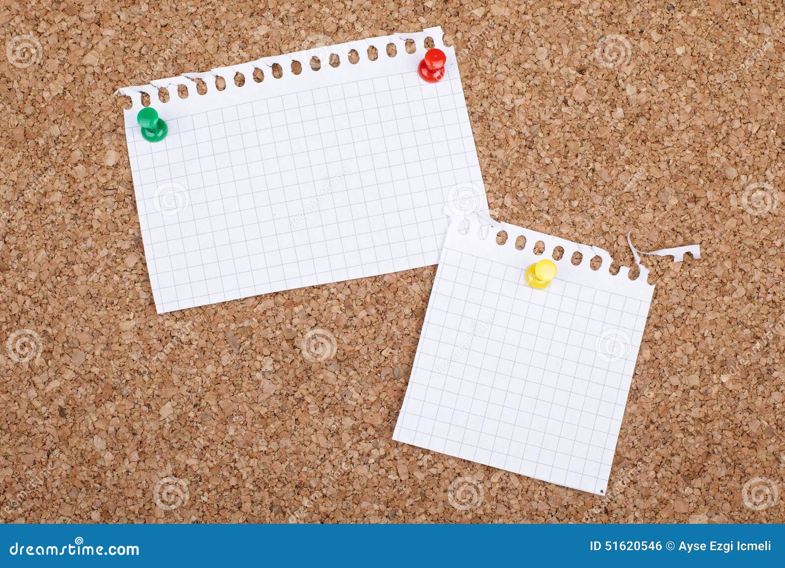 Empty Blank Two White Note Papers on Bulletin Board Stock Photo - Image ...