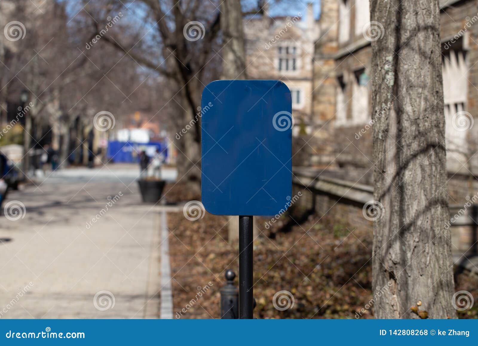 Empty blue sign on pathway stock photo. Image of campus - 142808268