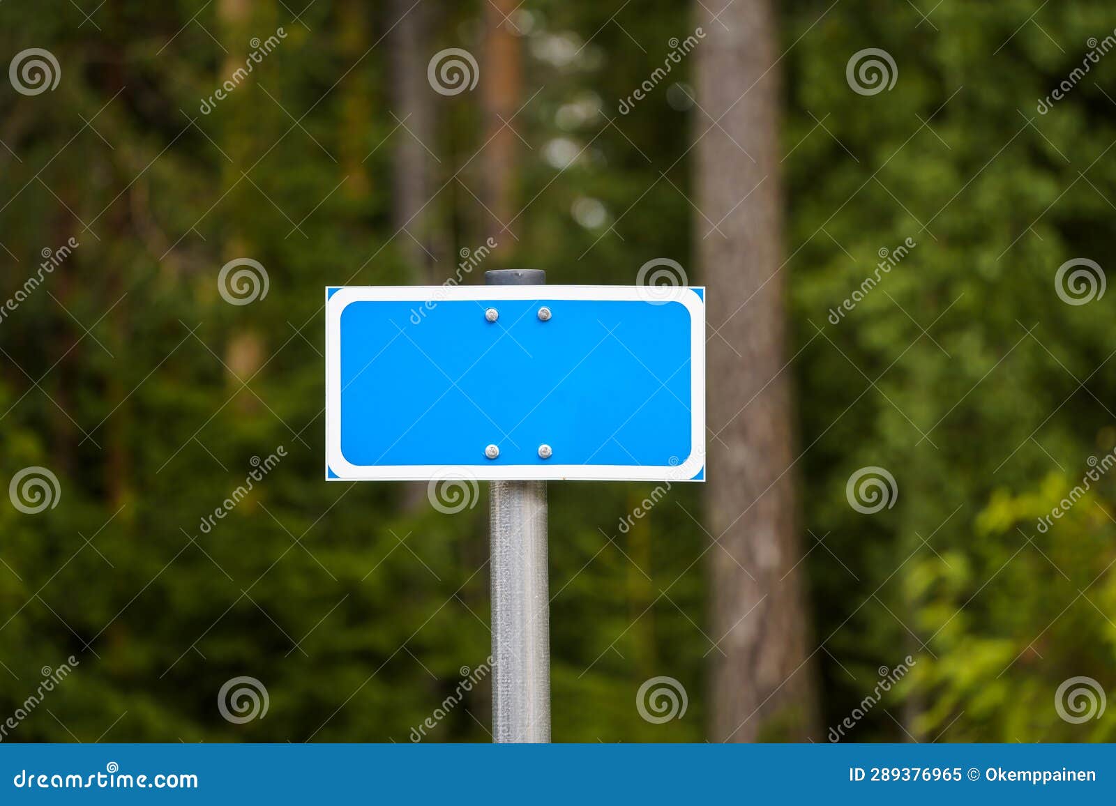 Empty Blue Traffic Sign Against the Forest Background Stock Image ...