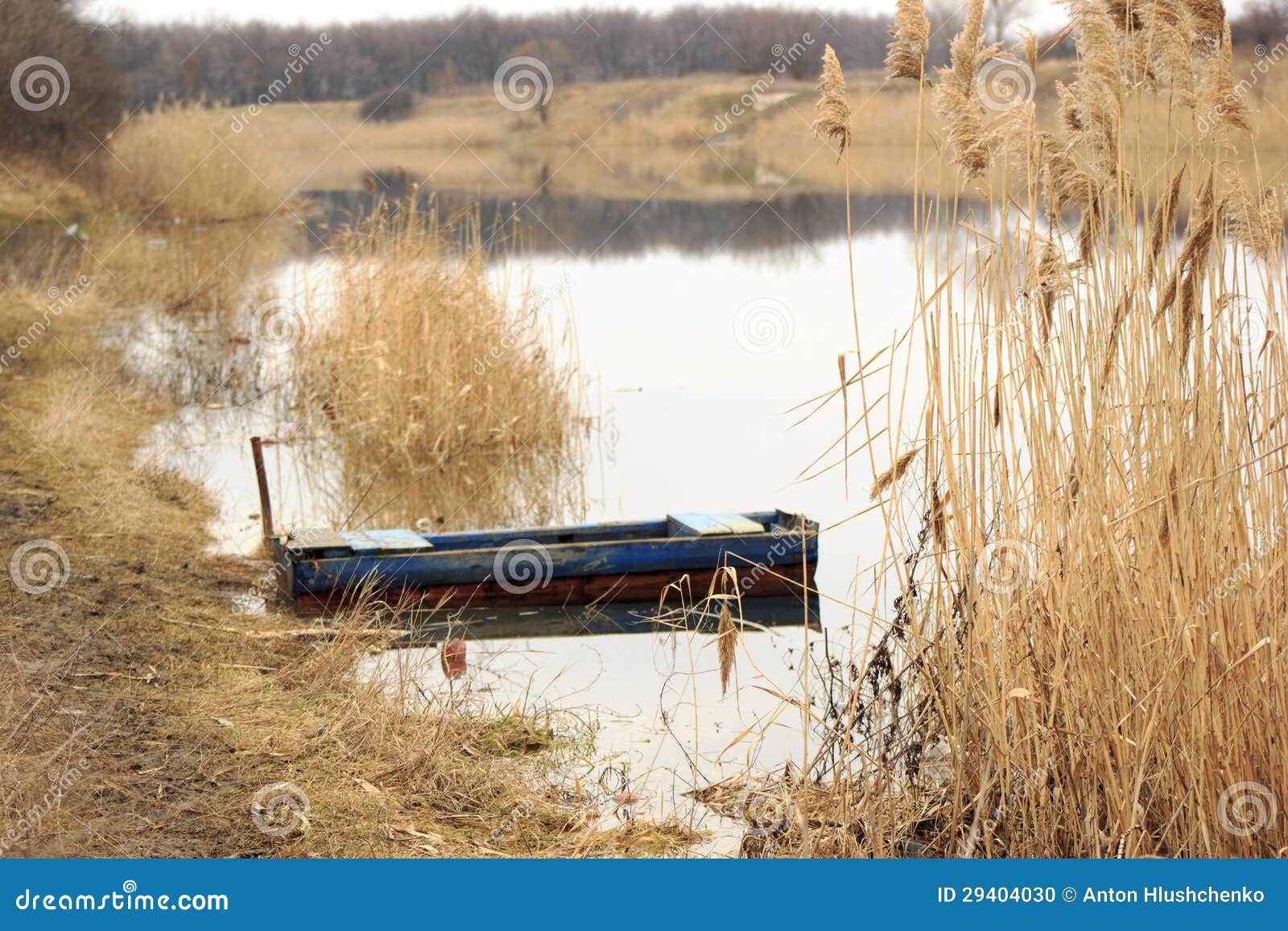 Empty boat at rushy shore stock photo. Image of color - 29404030