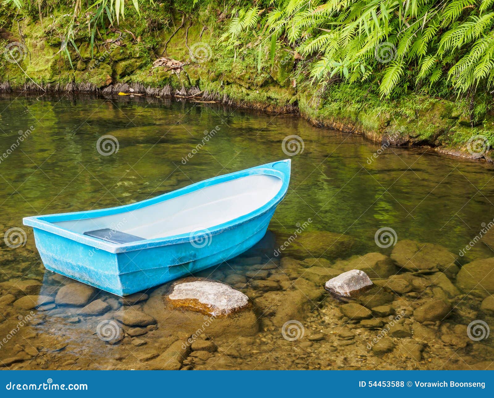 Empty Boat in Stream Forest Stock Photo - Image of activity, nature ...