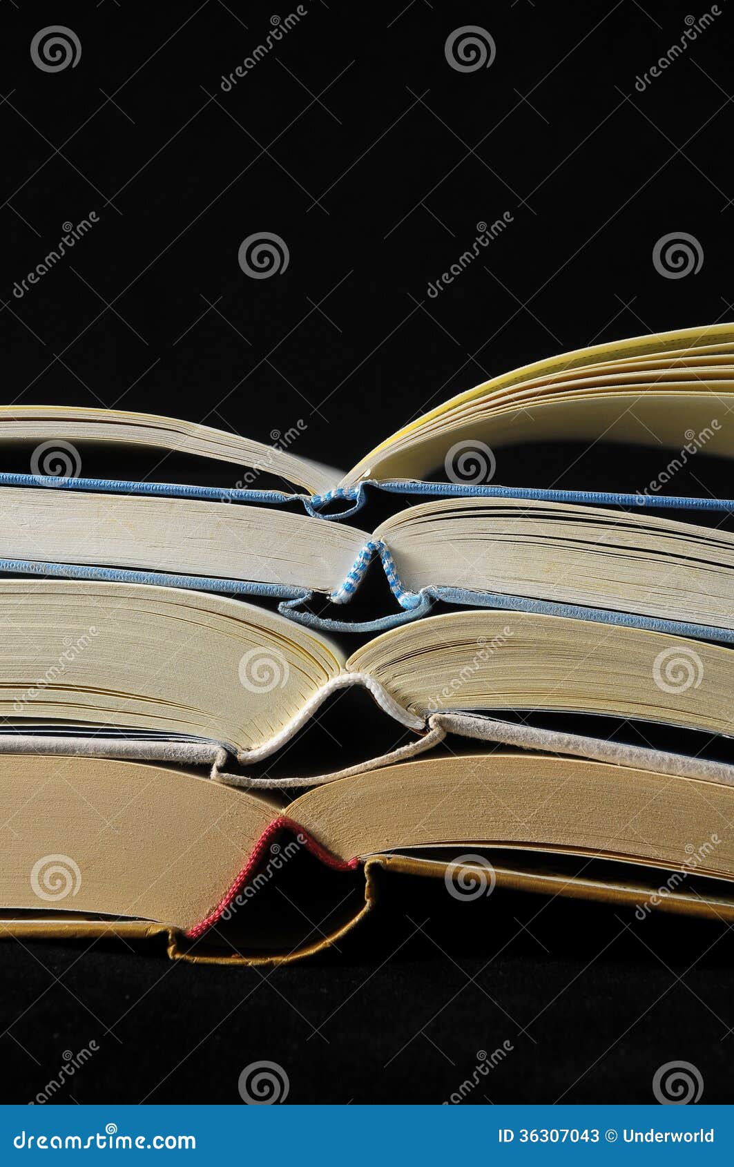 Empty Book stock image. Image of empty, manual, blank - 36307043