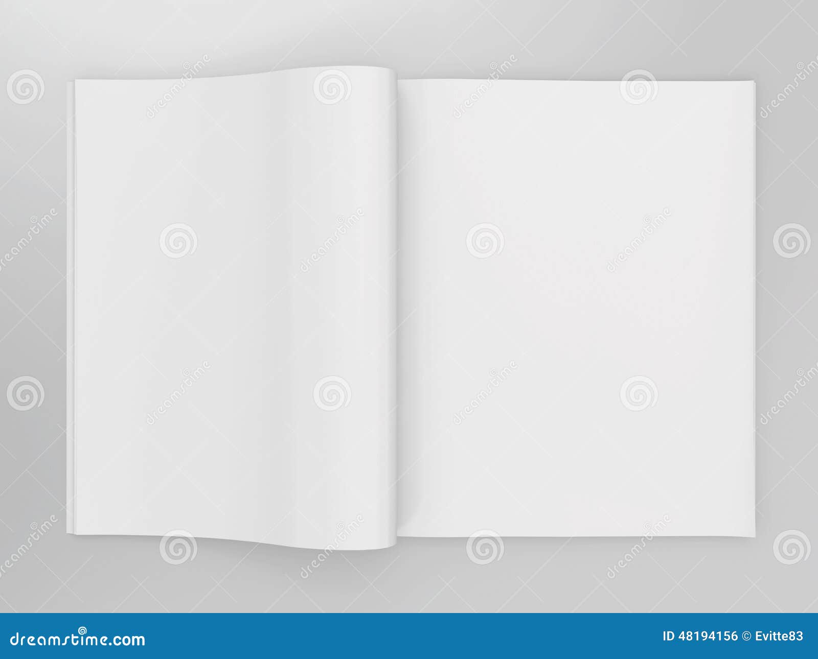 Blank Book Mockup