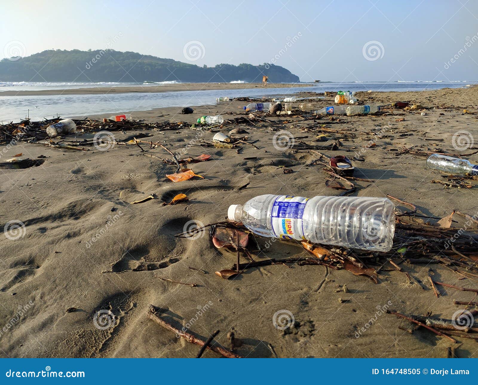 Empty Bottle and Garbage in the Beach of Goa Editorial Image - Image of ...
