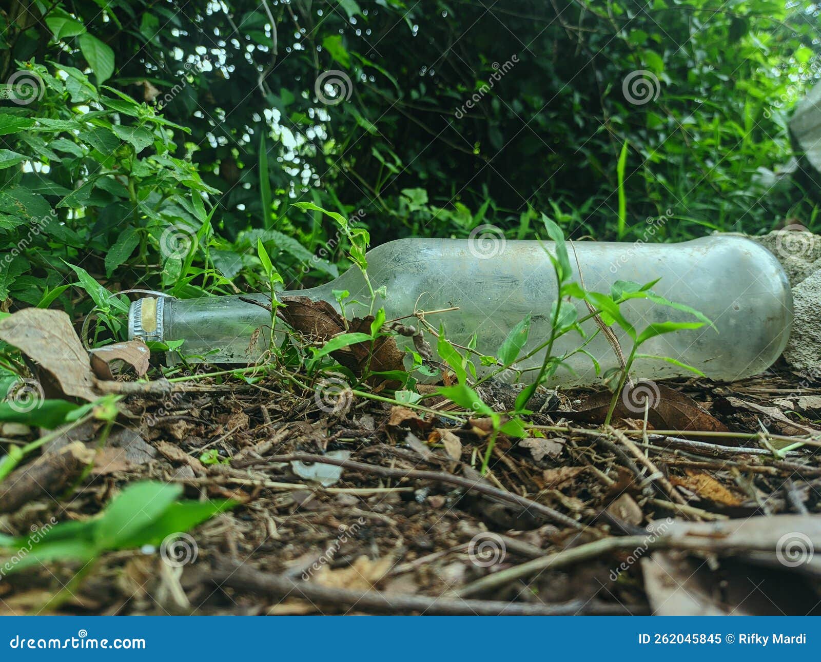 An Empty Bottle in the Garden Stock Image - Image of lawn, landscape ...