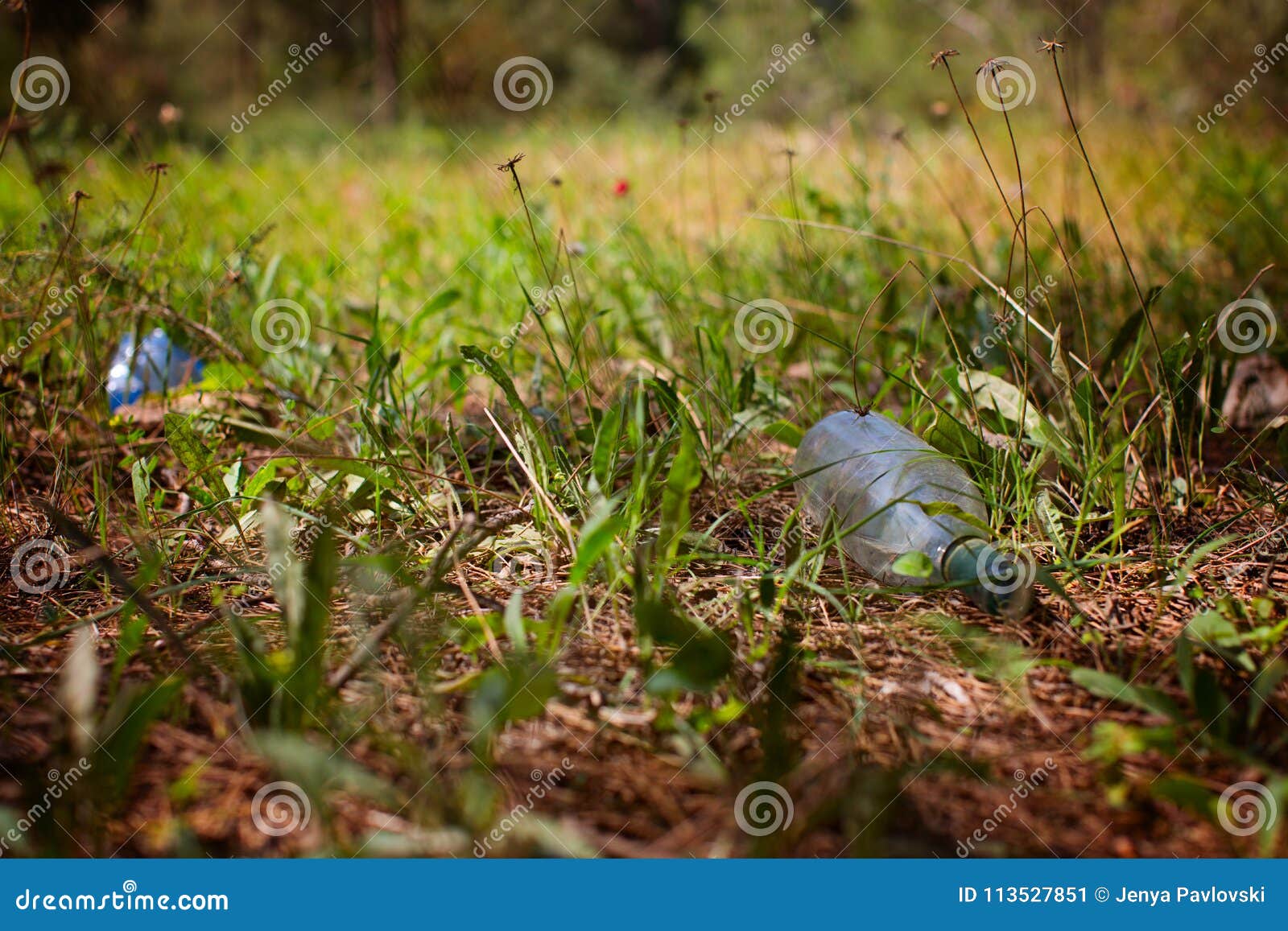 Throwing Garbage Road Stock Photos - 33 Images