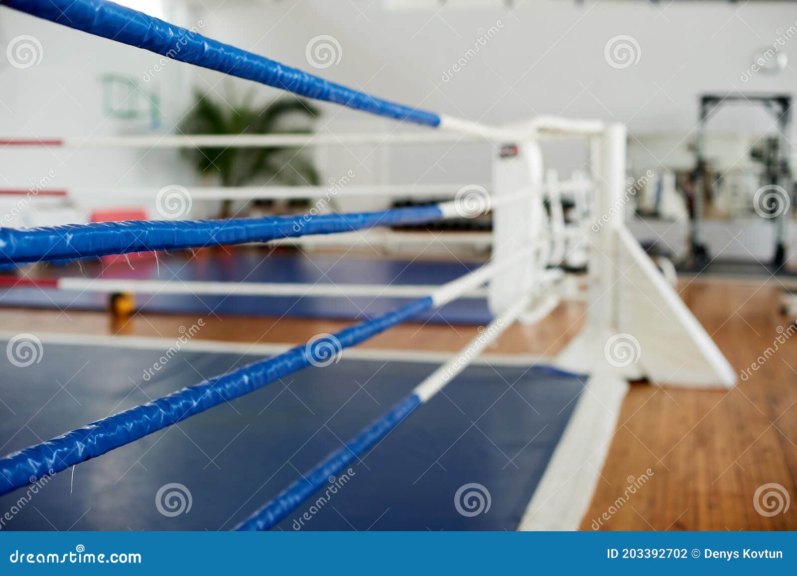 Empty Boxing Ring in the Gym. Stock Photo - Image of athletic ...