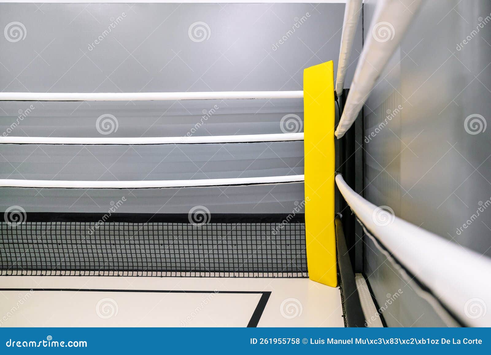 Empty Boxing Ring in the Gym with No People Stock Photo - Image of ...